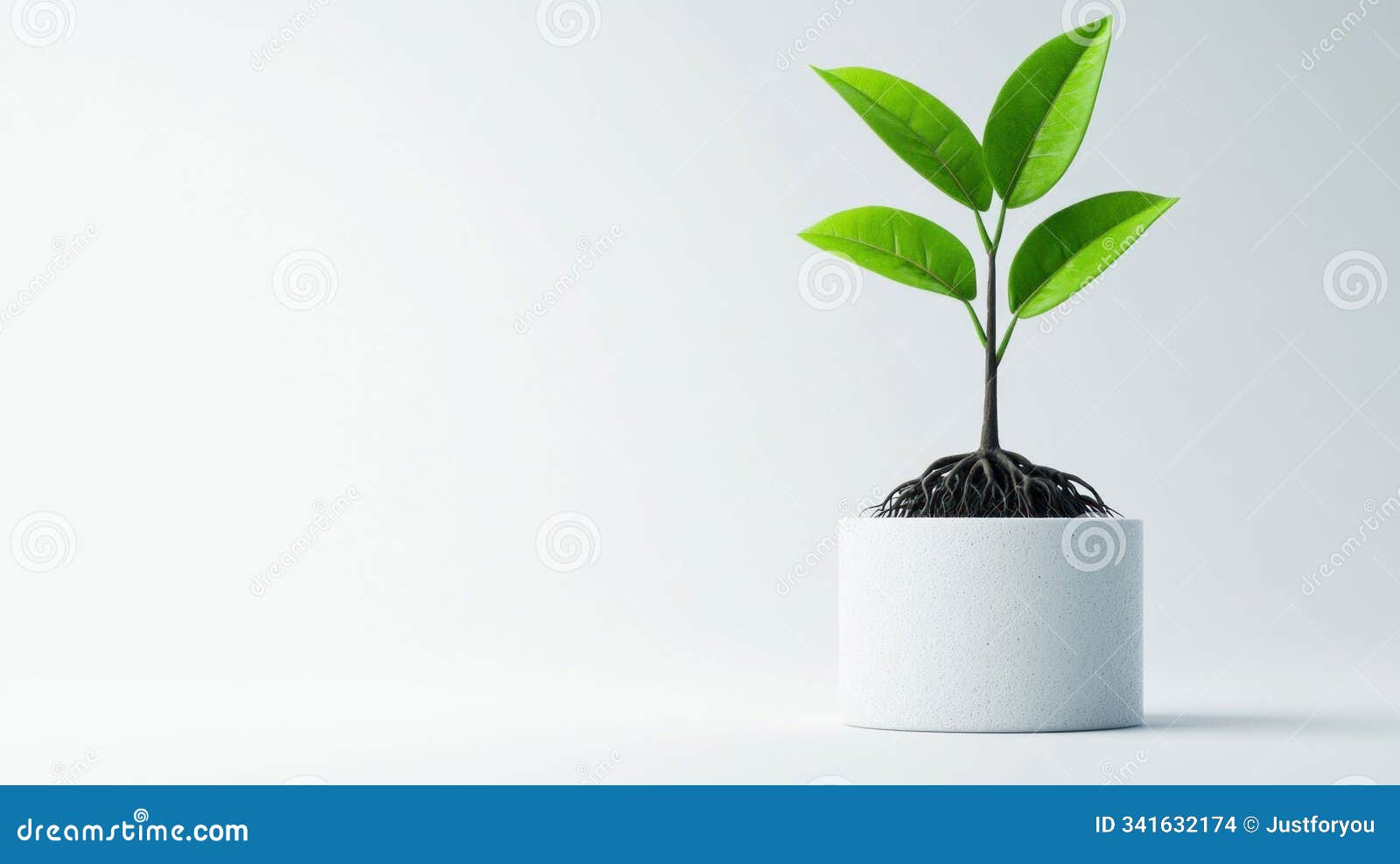 Cute Isometric Plant with Roots on a White Background Stock ...