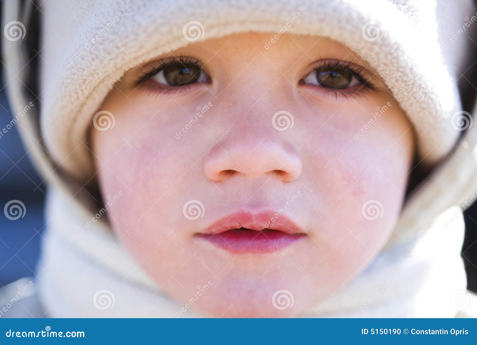 Cute Kid stock photo. Image of stare, portrait, innocent - 5150190