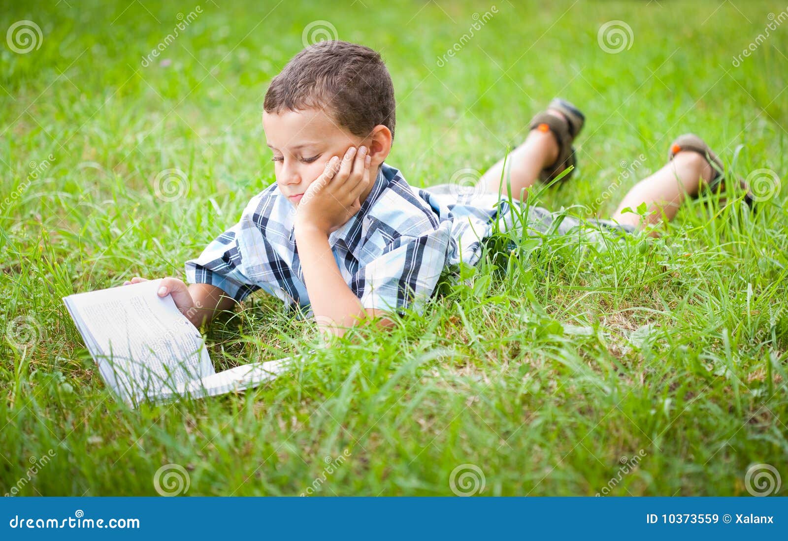 Cute Kid Reading a Book Outdoor Stock Image - Image of focused, school ...