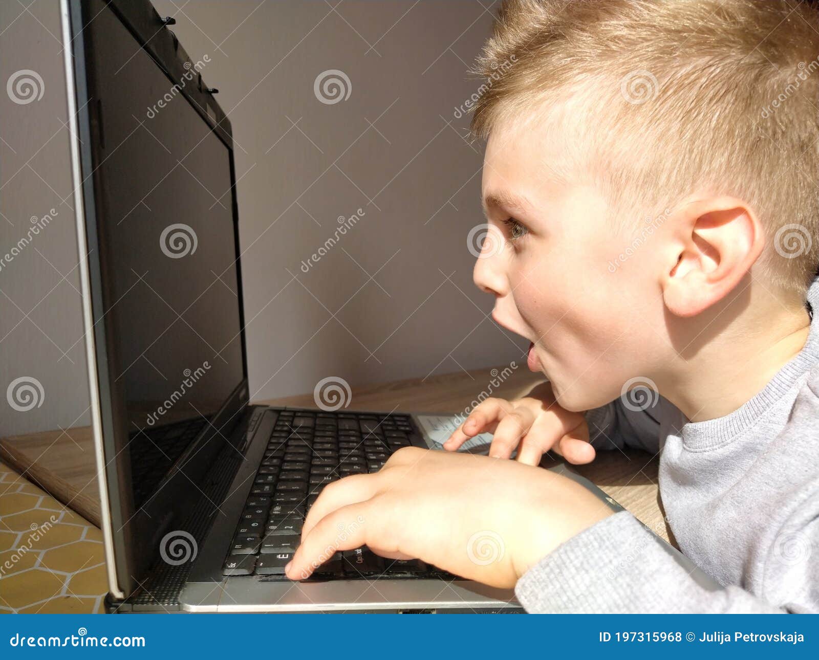 Cute Kid with Surprised Expression in Front of the Laptop. the Boy Saw ...
