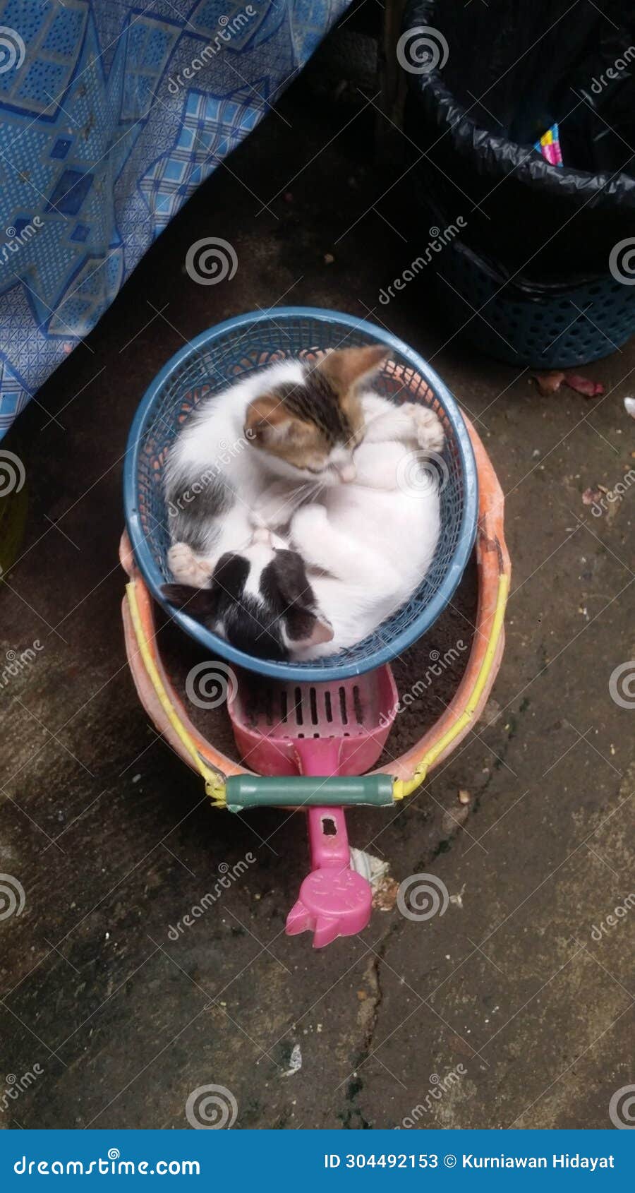 CUTE KIDS SLEEPING POSITIONS in UNIQUE PLACES Stock Image - Image of ...