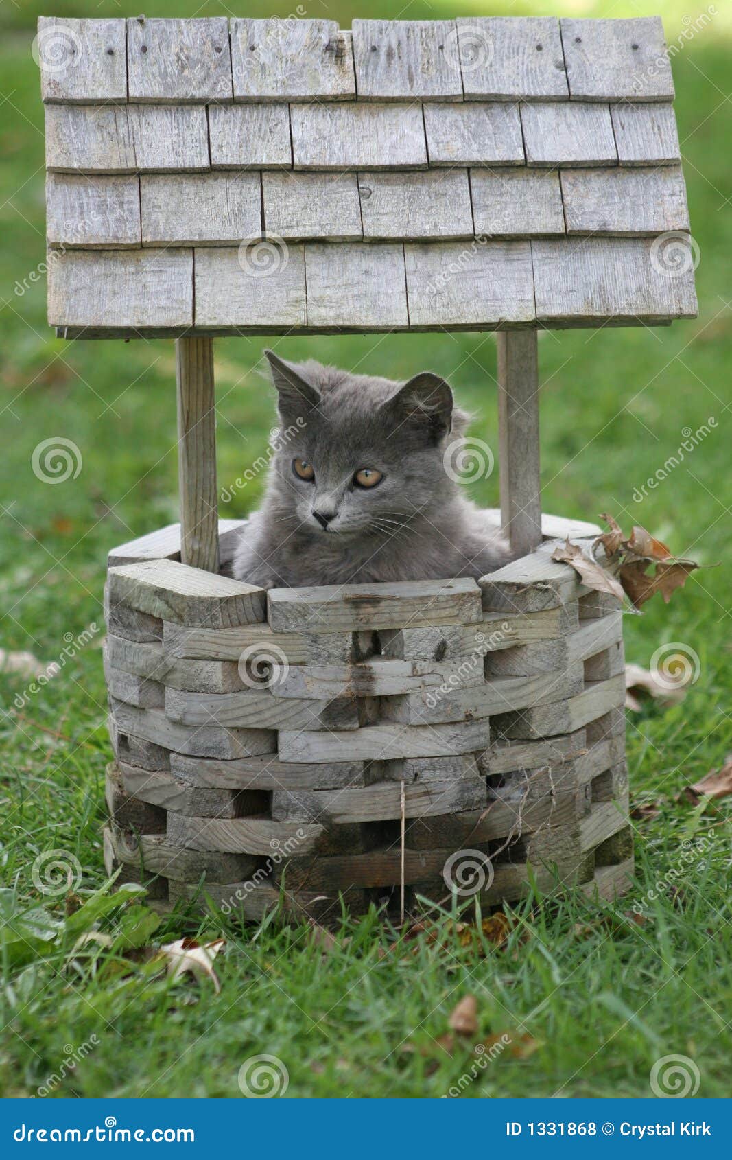 Cat Wishing Well Photos - Free & Royalty-Free Stock Photos from Dreamstime