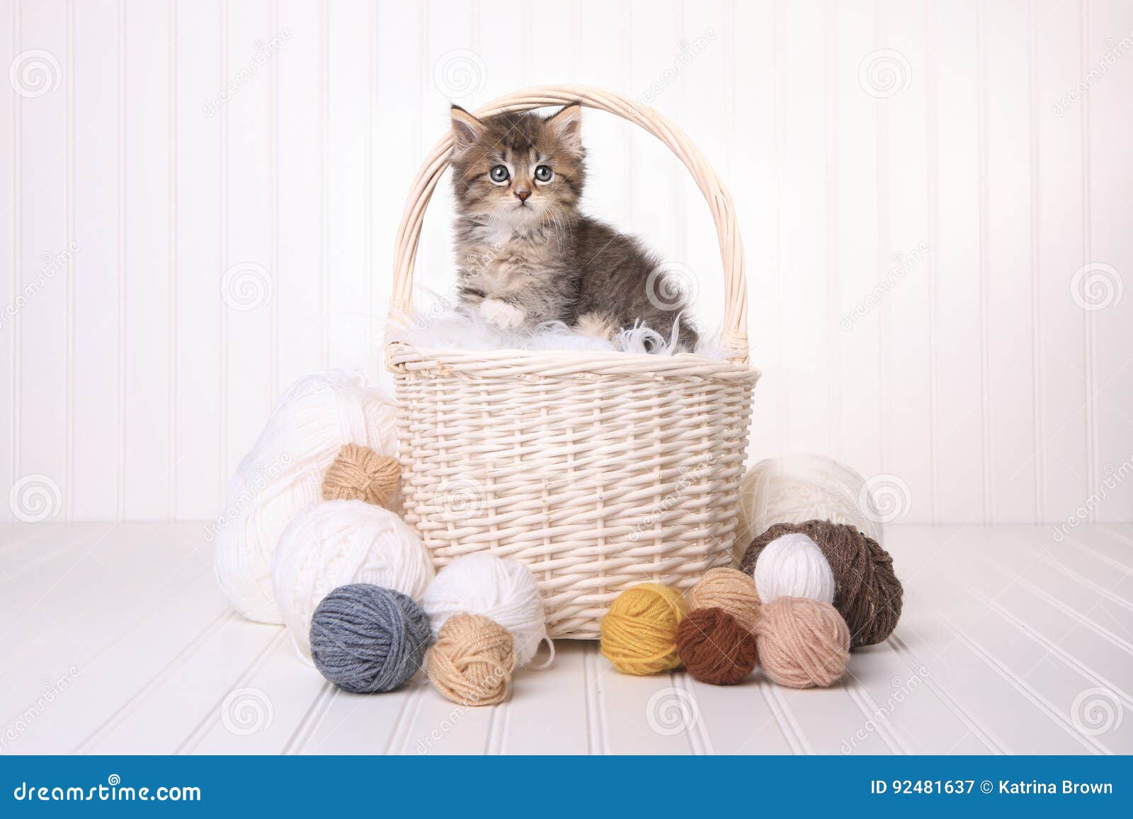 Cute Kitten in a Basket with Yarn on White Stock Image - Image of ...