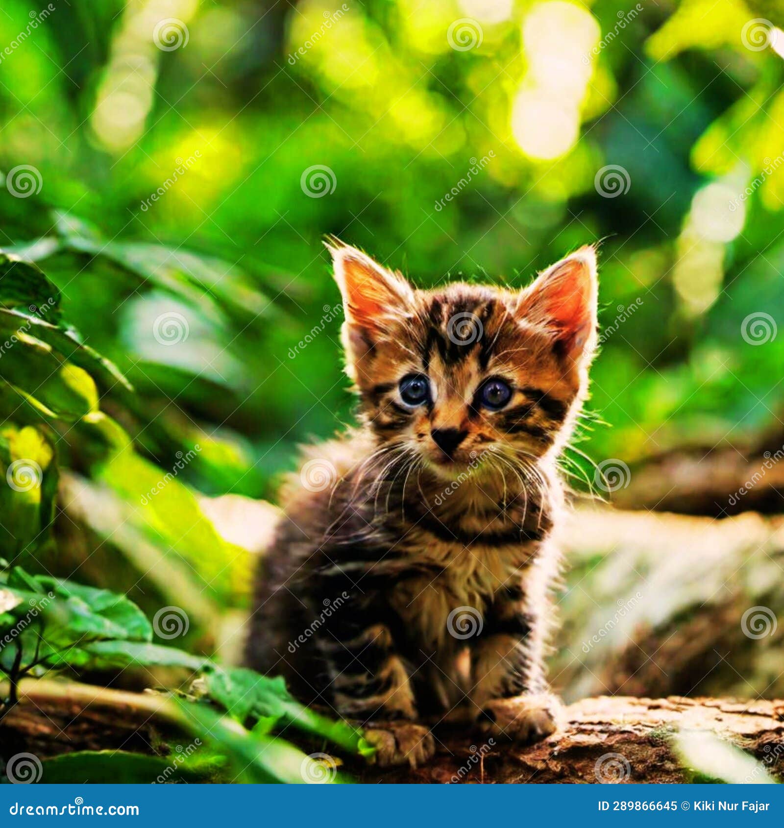 Forest1 Cartoons, Illustrations & Vector Stock Images - 50 Pictures to ...