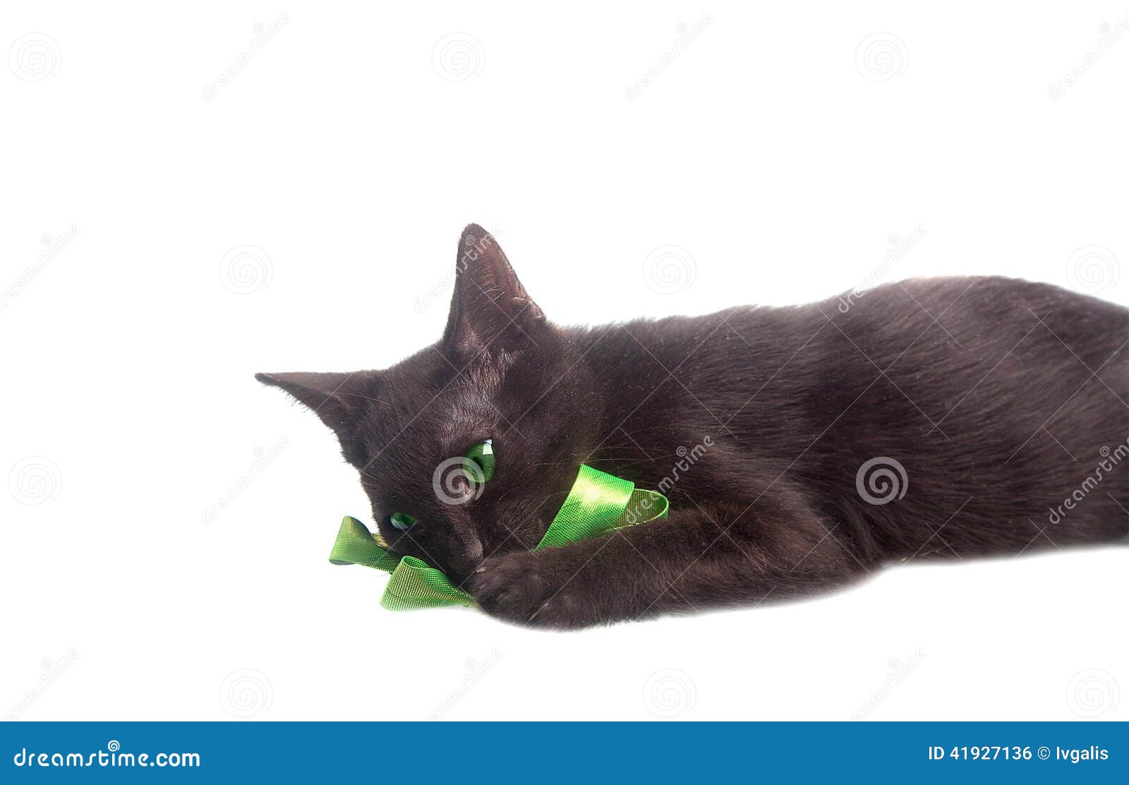 Cute Kitten Playing with Green Ribbon Stock Photo - Image of hairy ...