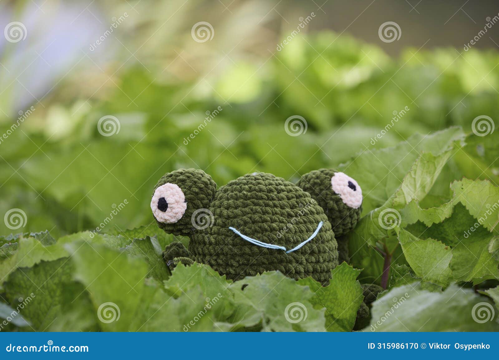 Cute Knitted Frog Toy in the Garden Stock Photo - Image of handcraft ...