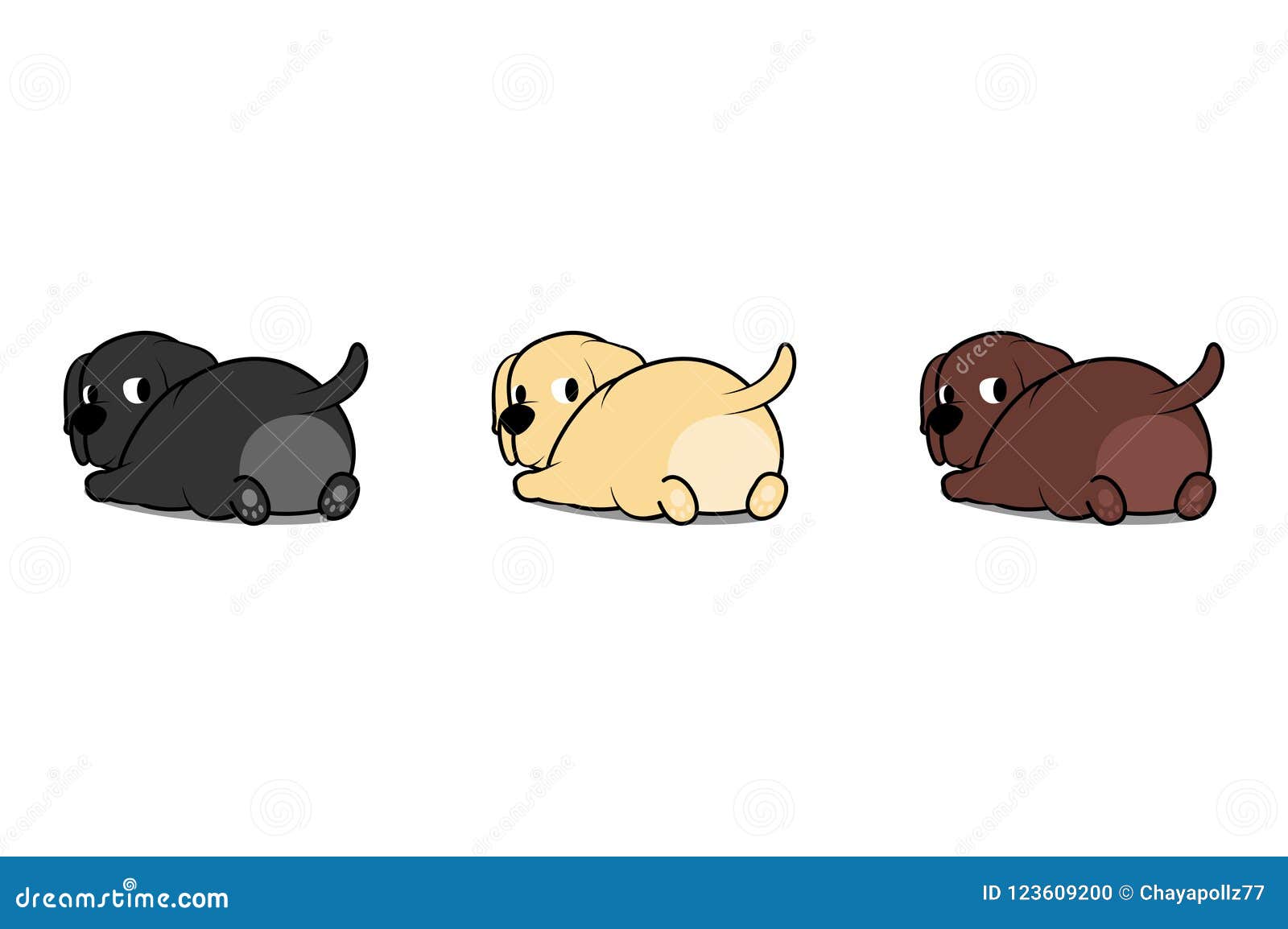 Cute Labrador Retriever Puppy Lying Down and Looking Back Stock Vector ...
