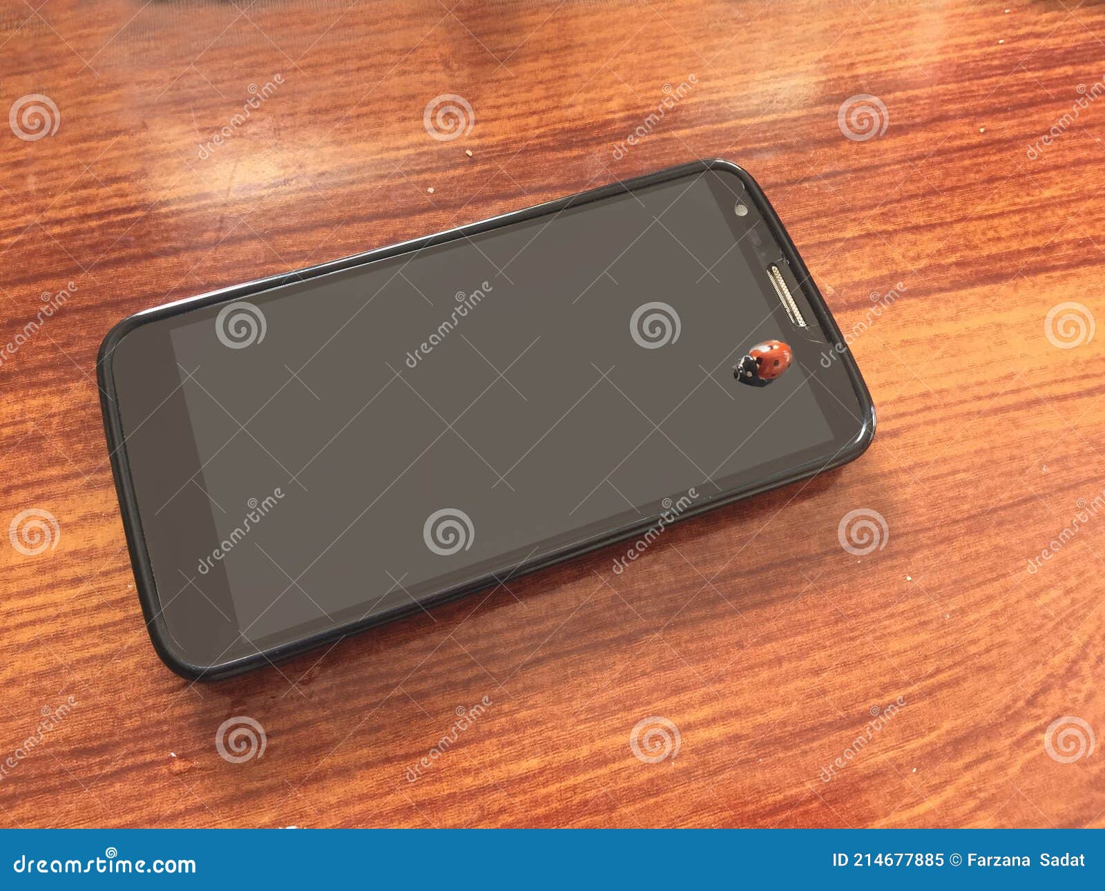 Cute Lady Bird in Top of Android Stock Image - Image of mobile, secure ...