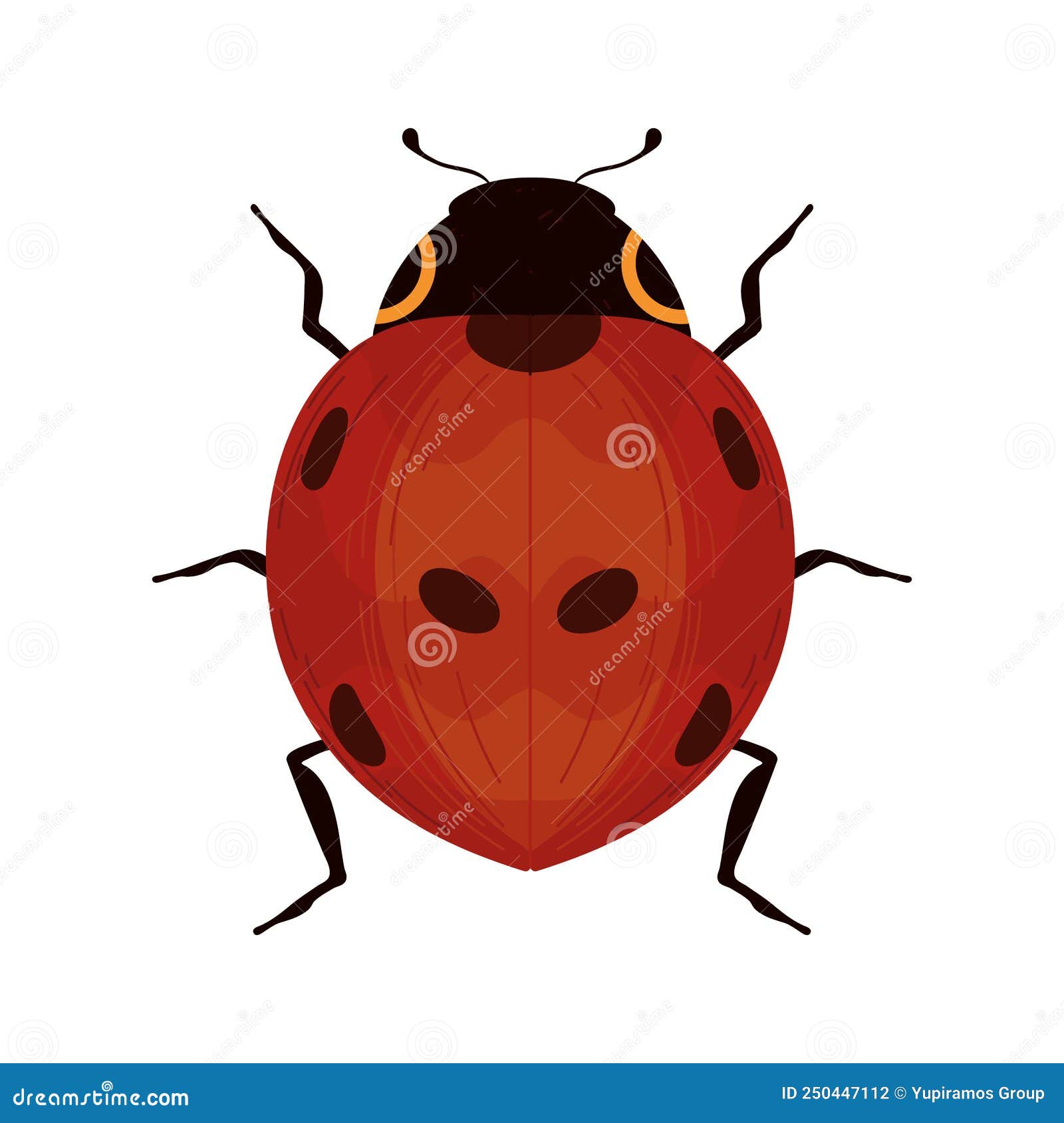 Cute Ladybird Vector Illustration | CartoonDealer.com #78039222