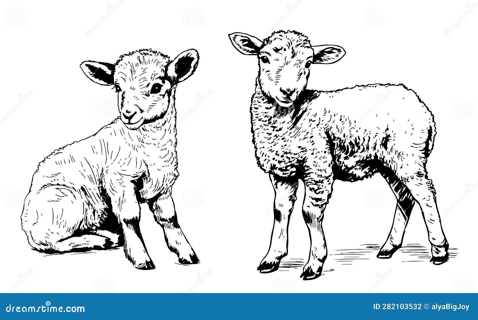 Cute Lamb Sketch Hand Drawn in Doodle Style Farming Vector Illustration ...