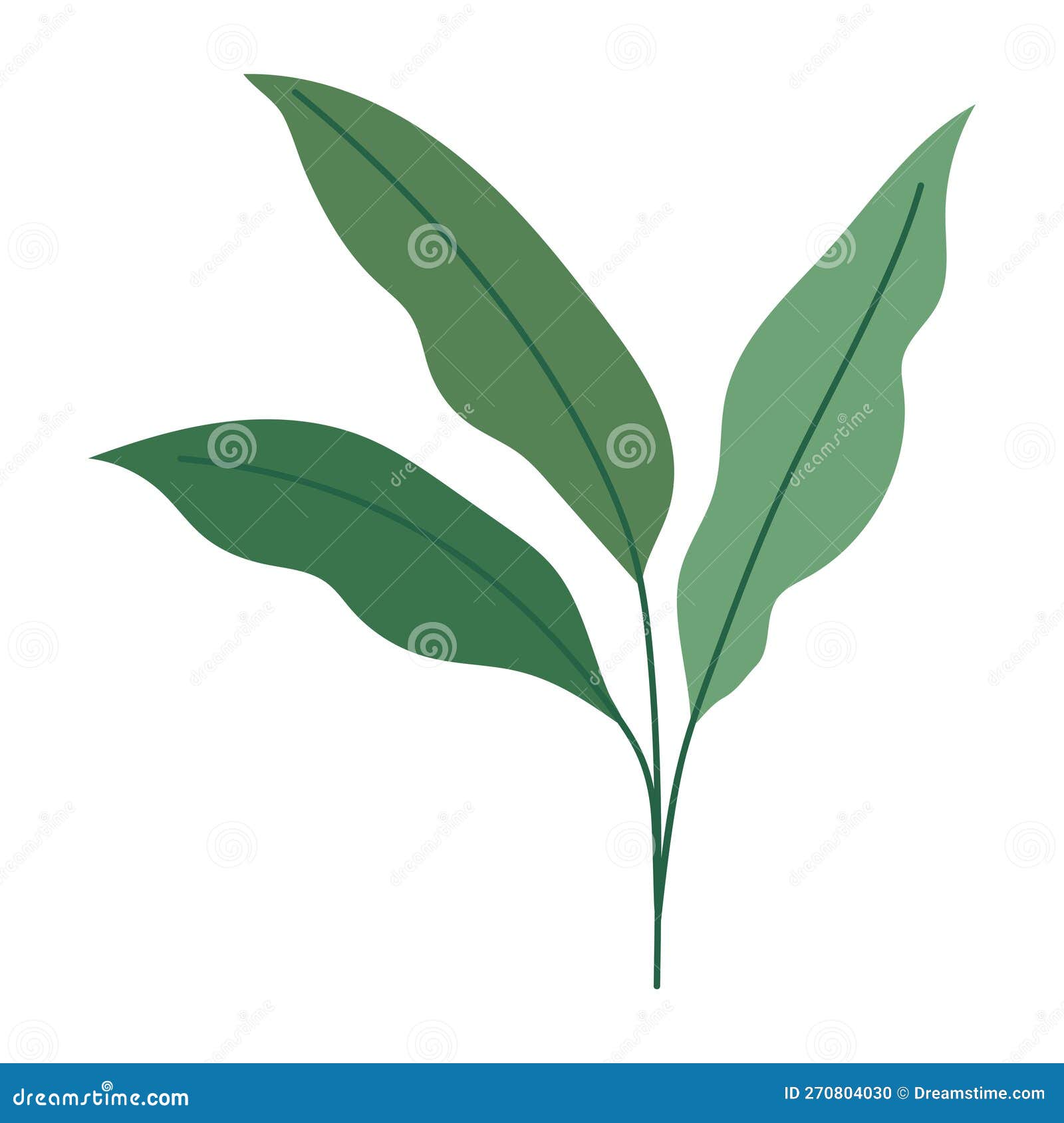 Cute leaves illustration stock vector. Illustration of design - 270804030