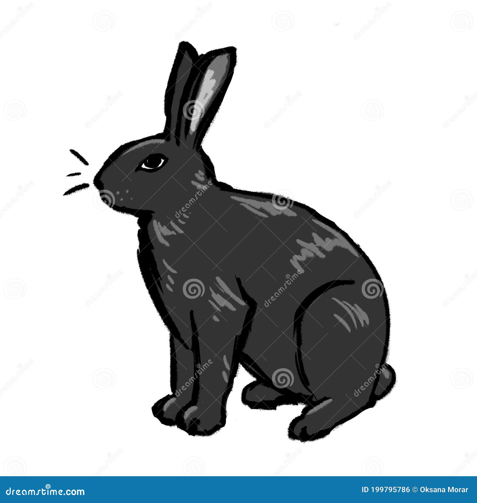 Cute Little Black and Grey Rabbit Stock Illustration - Illustration of ...