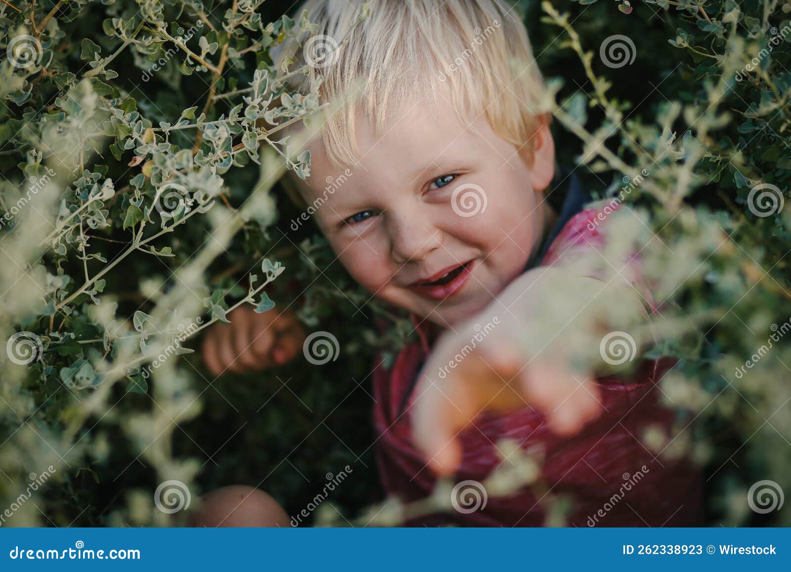 Cute Little Blonde Kid Playing in a Bush in a Park Stock Image - Image ...