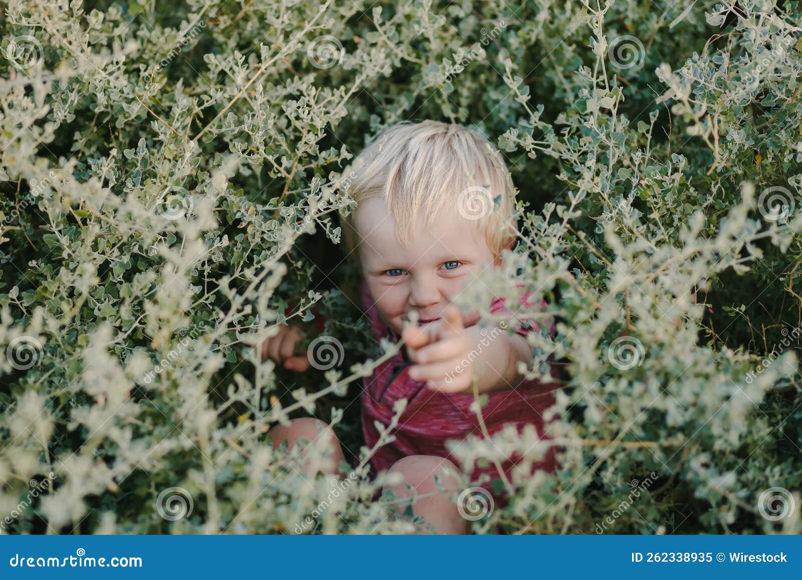 Cute Little Blonde Kid Playing in a Bush in a Park Stock Image - Image ...