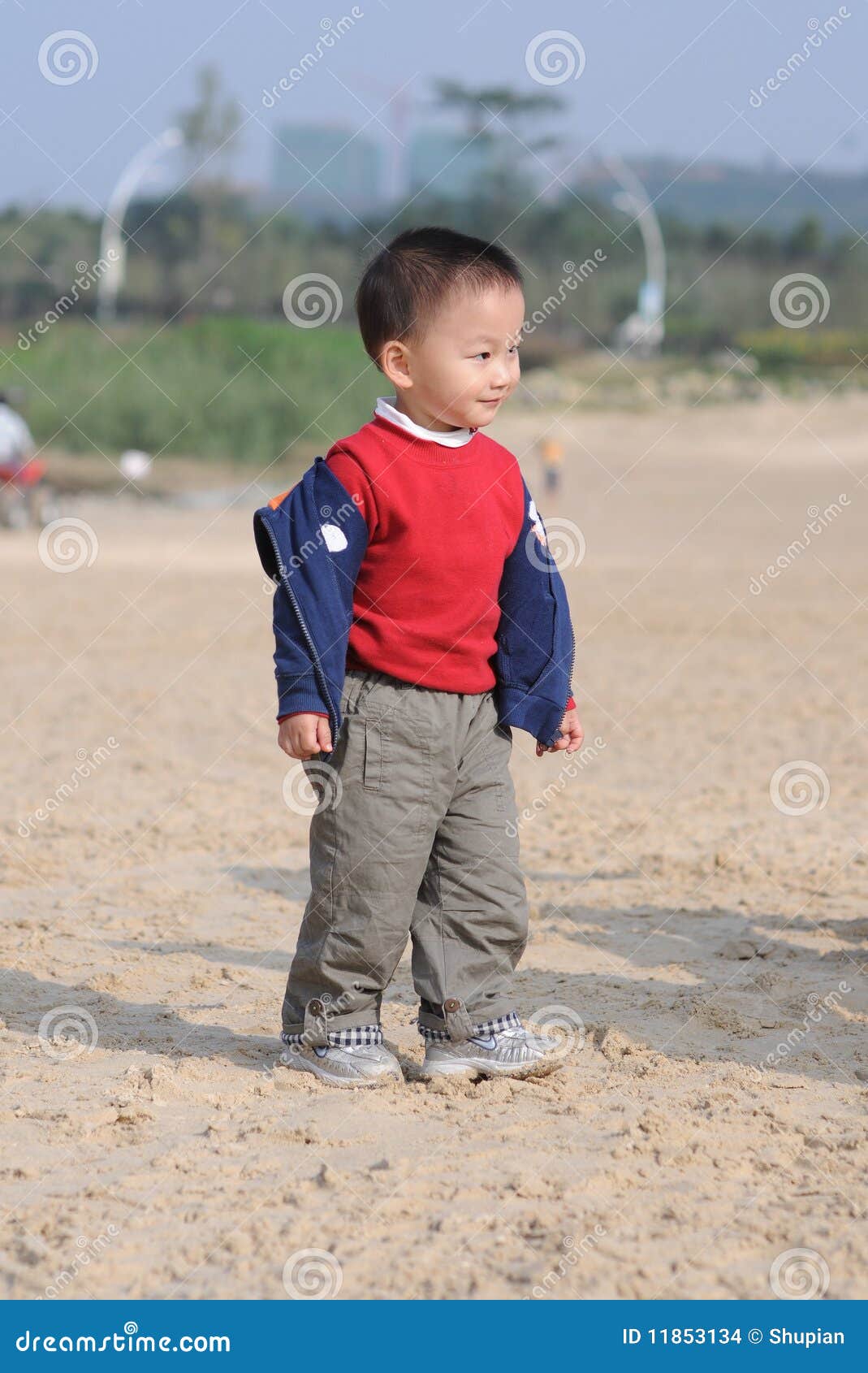 Cute little boy stock photo. Image of child, smile, beautiful - 11853134