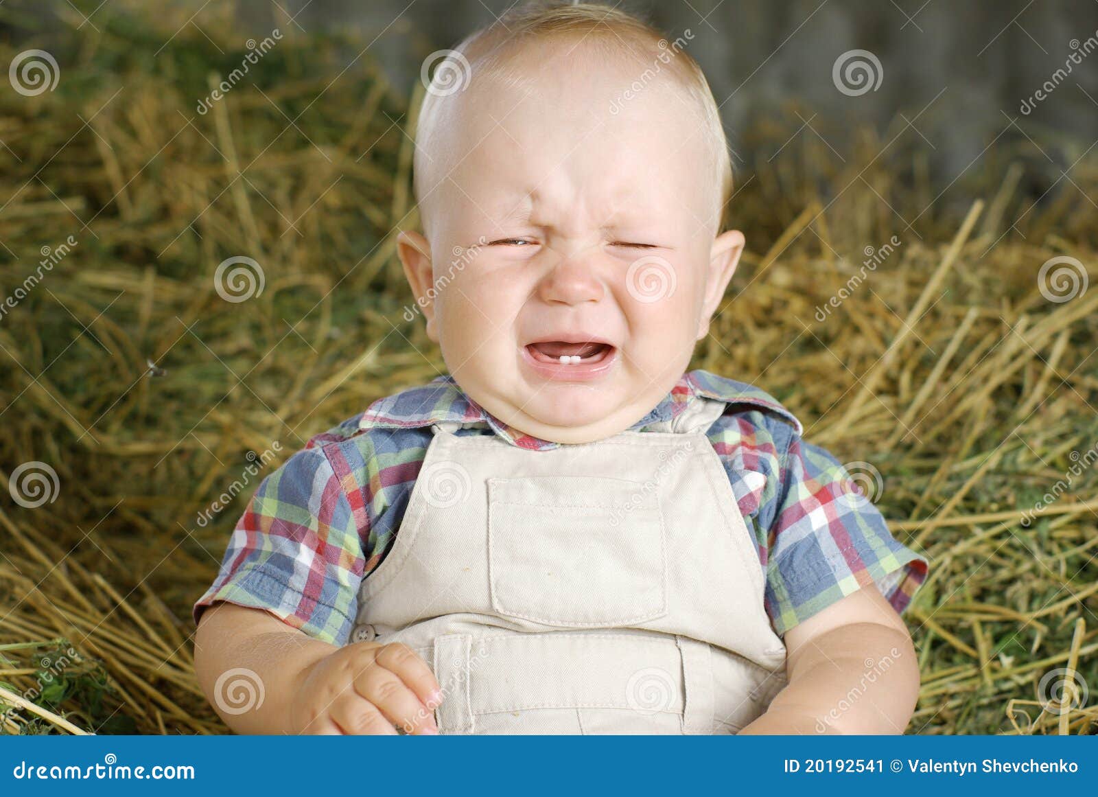 Cute Little Boy Crying stock image. Image of cute, farm - 20192541
