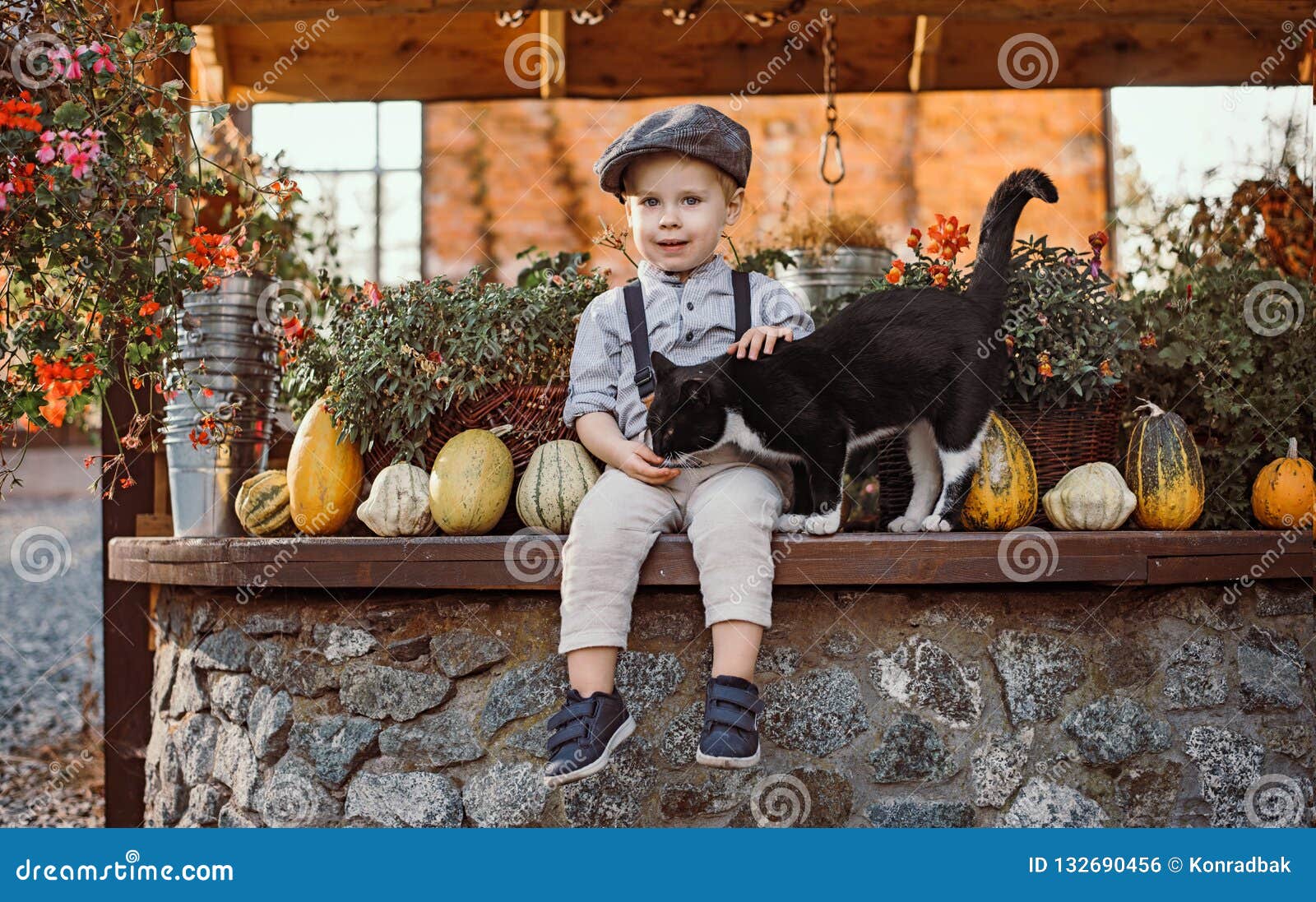 Cute Little Boy Cuddling a Cat Stock Photo - Image of flower, landscape ...