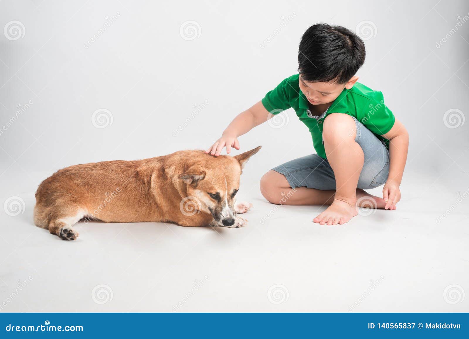 Cute Little Boy with Dog on White Background Stock Image - Image of ... Cute Little Boy with Dog on White Background Stock Image - Image of ...