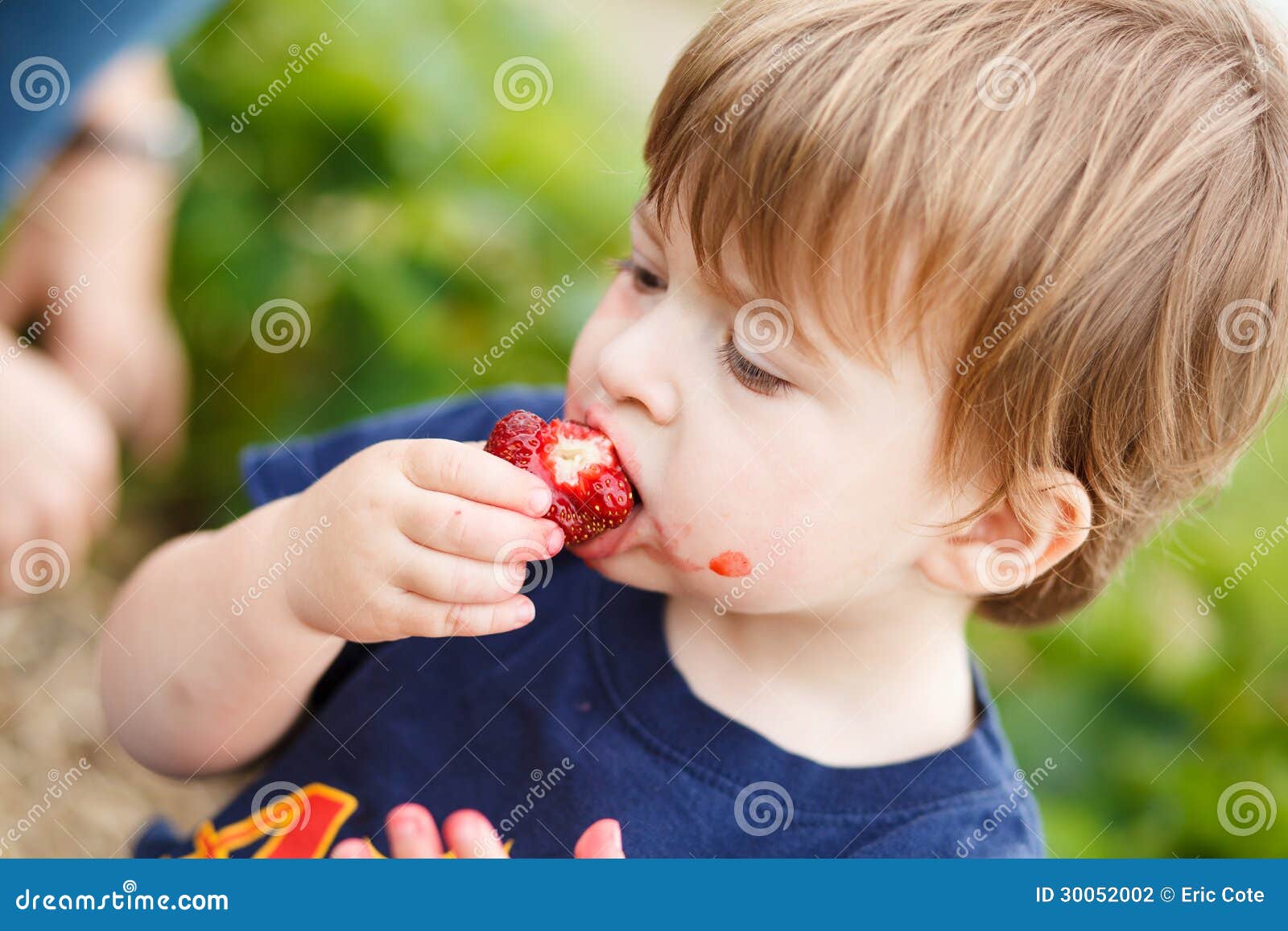 Boy eating a strawberry stock photo. Image of children - 30052002