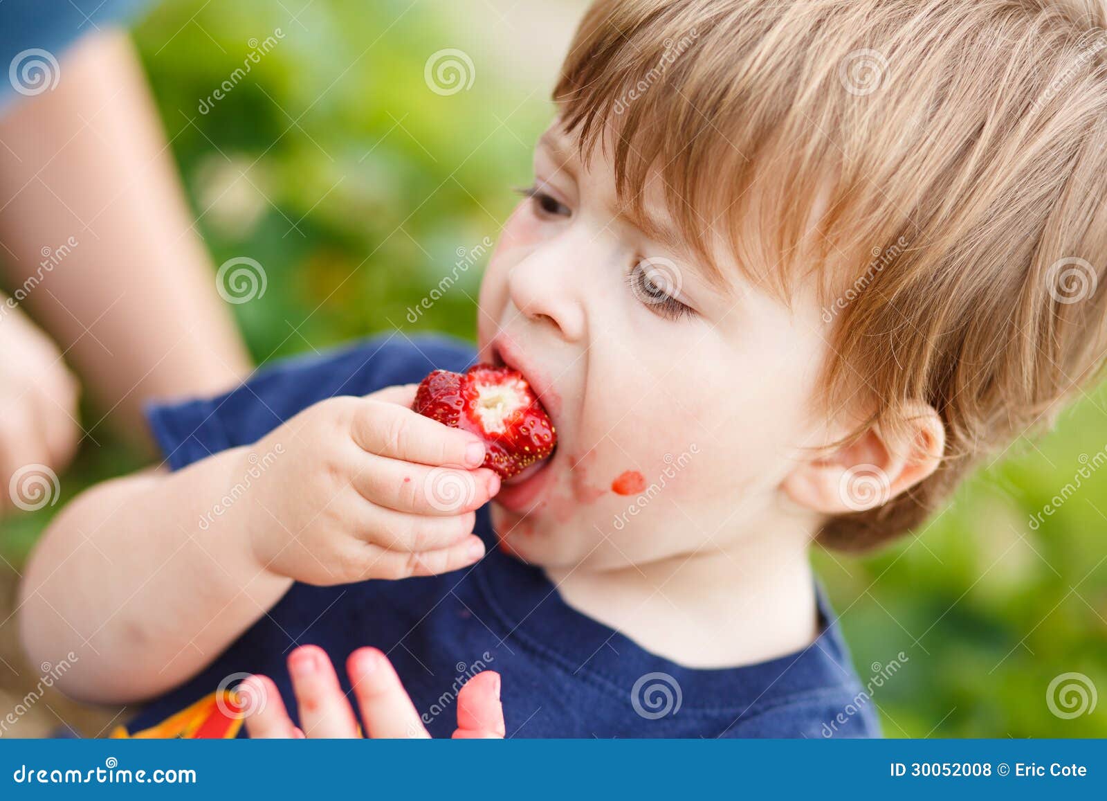 Boy eating a strawberry stock photo. Image of young, healthy - 30052008