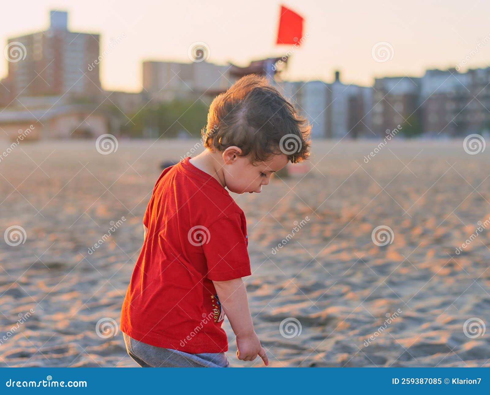 Young Toddler Exploring the Beach at Sunset Stock Image - Image of ...
