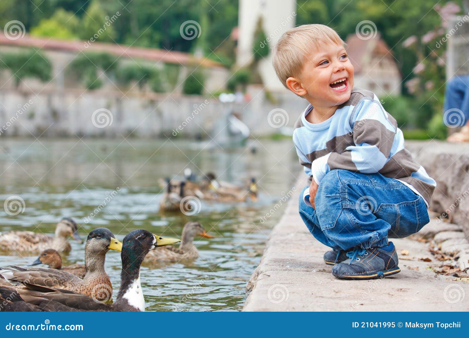 Cute Little Boy Feeding Ducks Stock Image - Image of emotion, bird ...