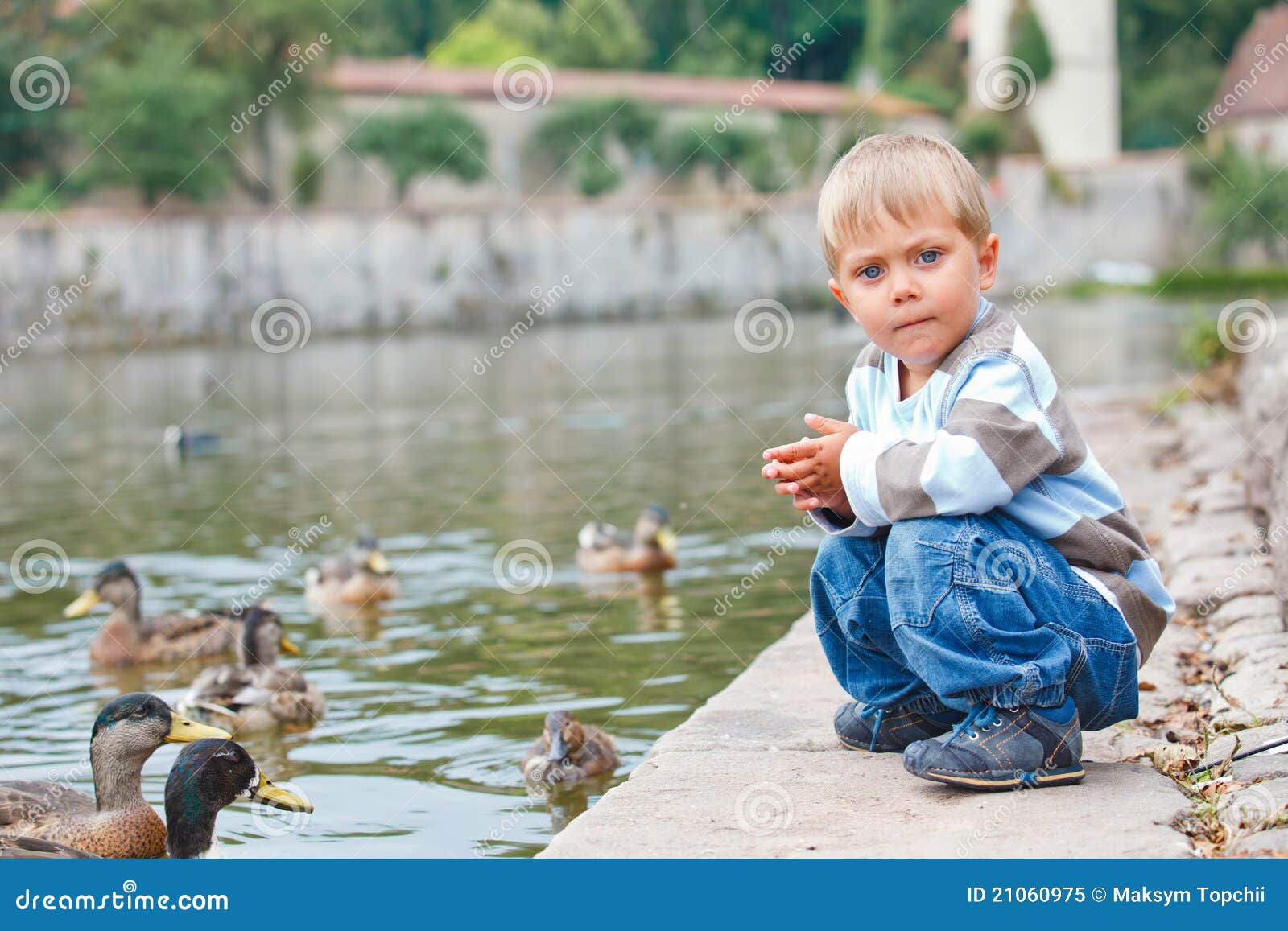 Cute Little Boy Feeding Ducks Stock Image - Image of happy, childhood ...
