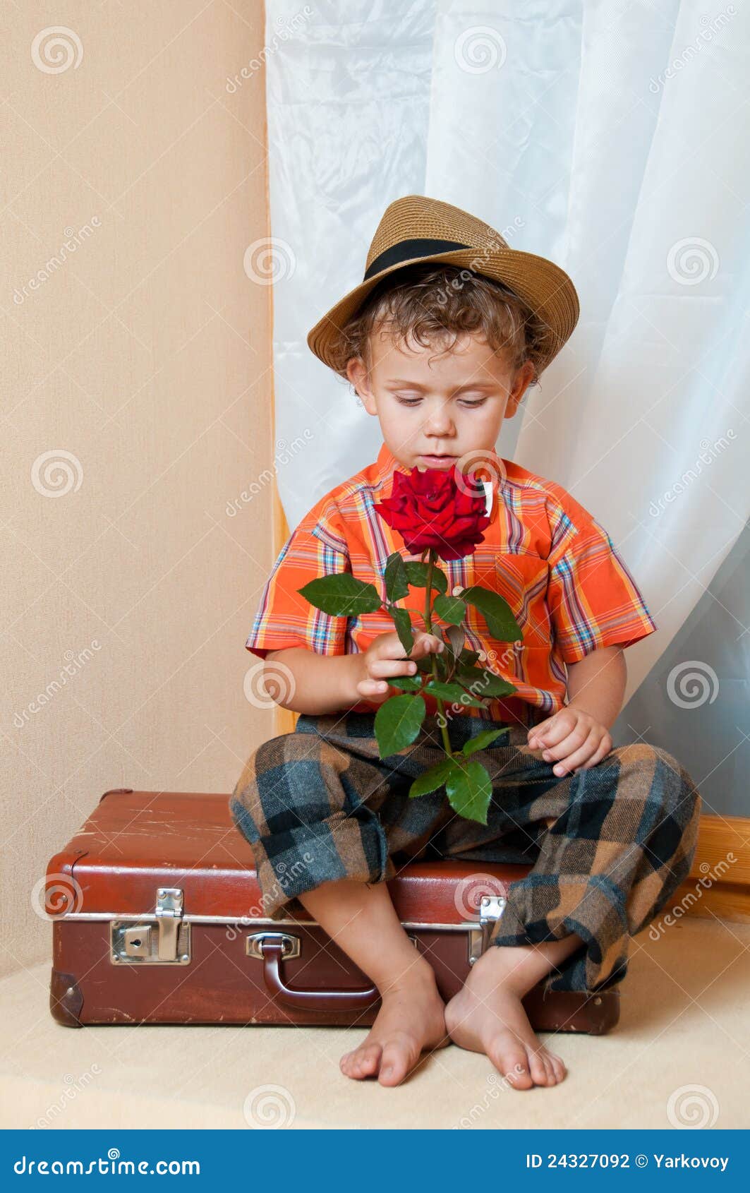 Cute Little Boy with the Flower. Stock Photo - Image of retro, child ...