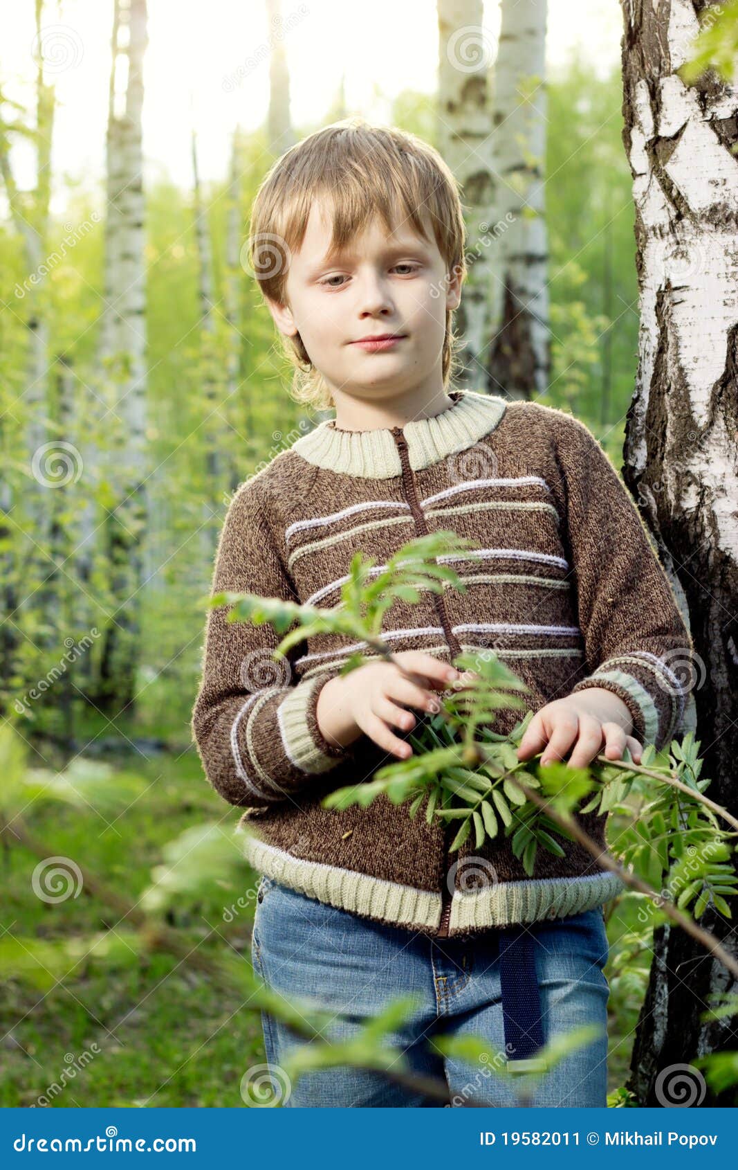 Cute little boy in forest stock image. Image of little - 19582011