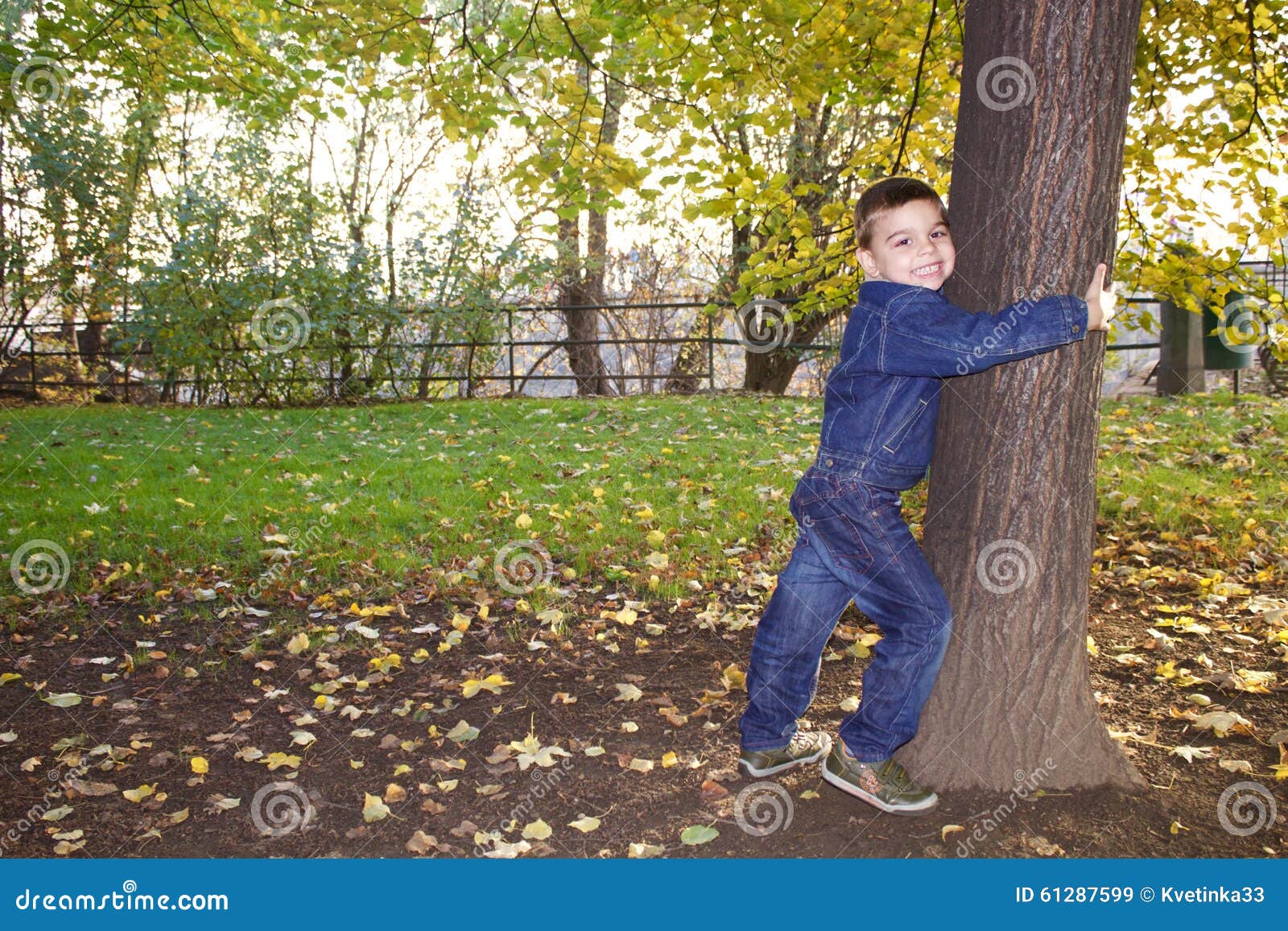 Cute Little Boy Holding the Tree Stock Image - Image of activity ...
