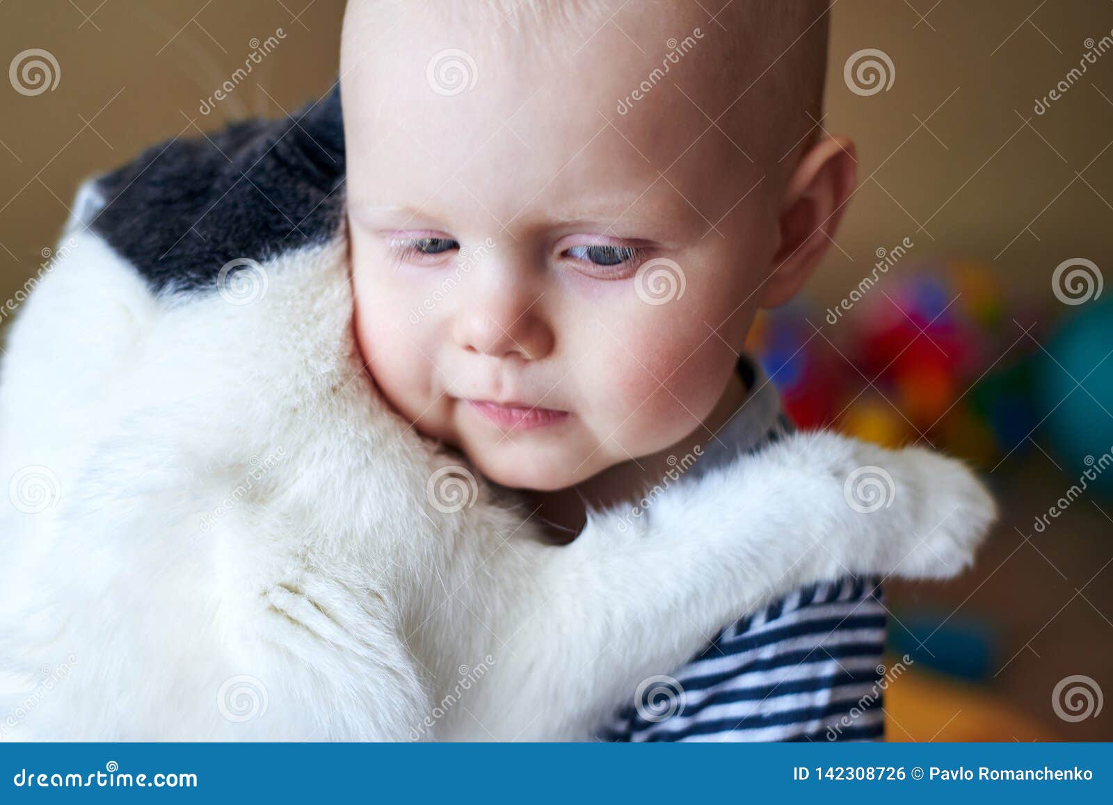 Cute Little Boy is Hugging a Big Cat Stock Photo - Image of care ...