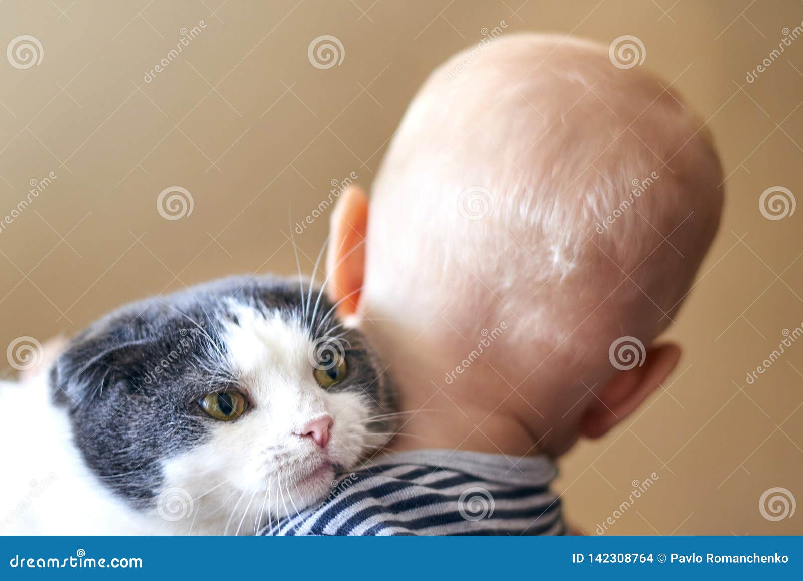 Cute Little Boy is Hugging a Big Cat Stock Photo - Image of love ...