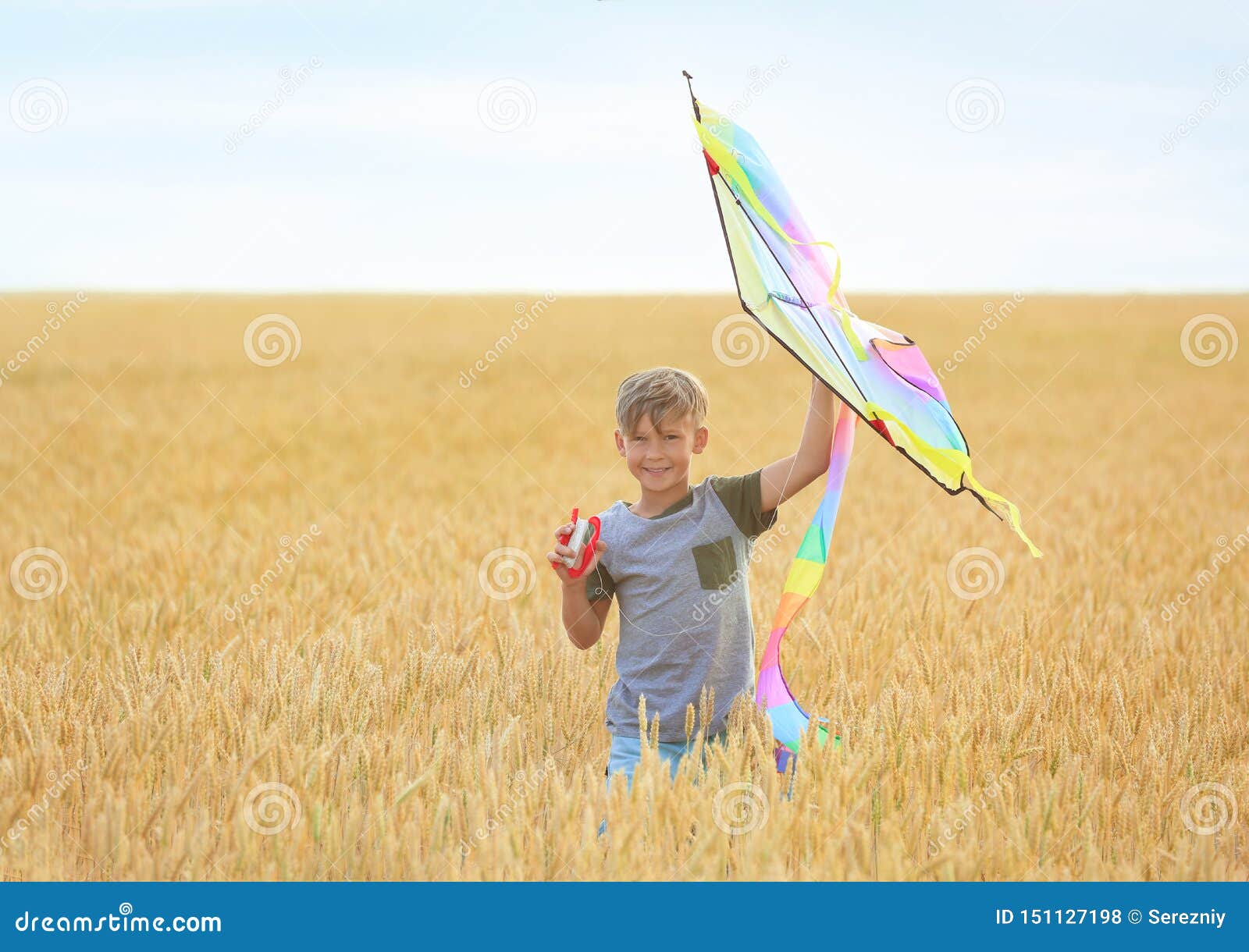 Cute Little Boy with Kite in Field Stock Photo - Image of activity ...