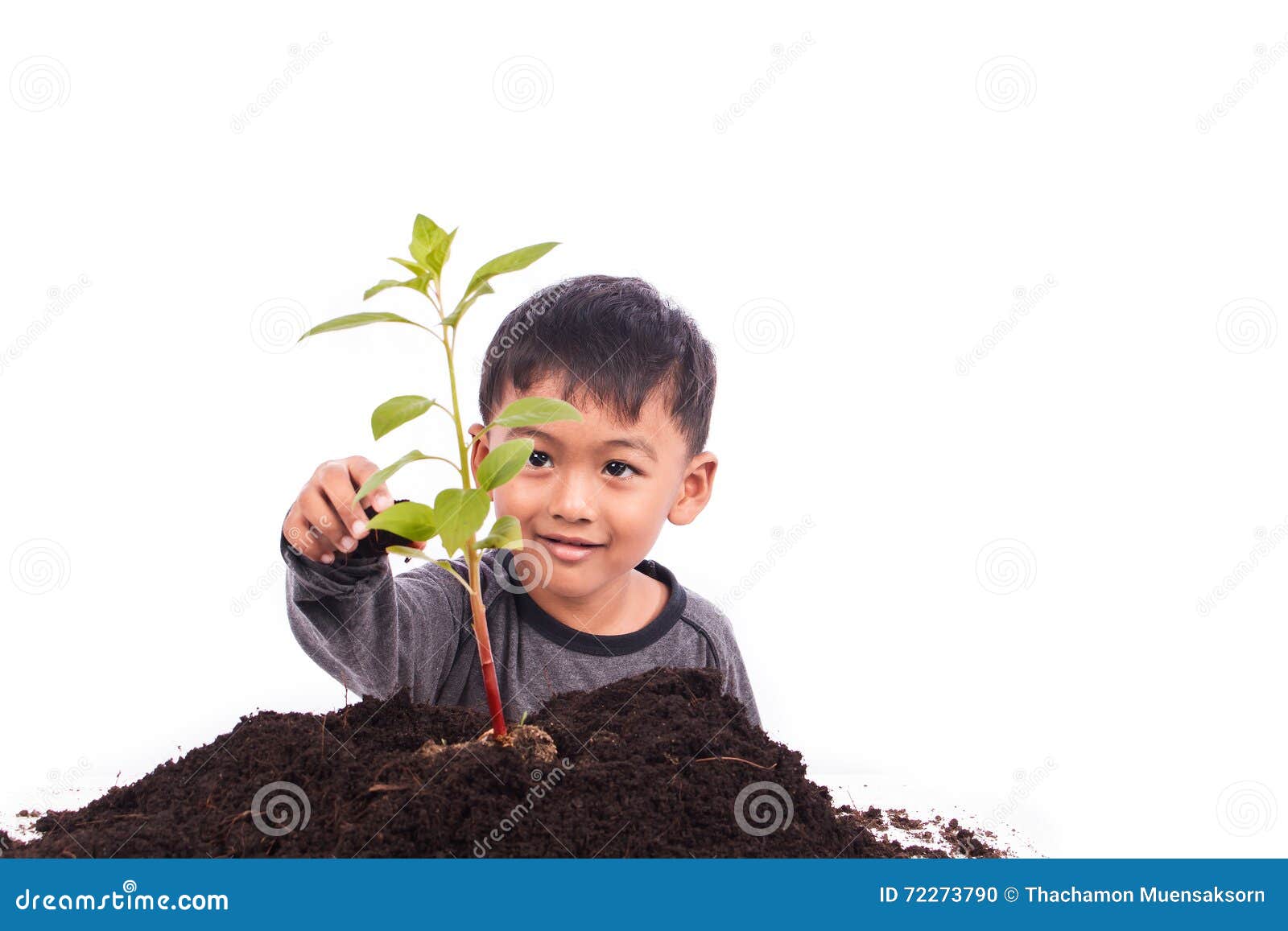 Cute Little Boy Planting Tree Stock Photo - Image of earth, protection ...
