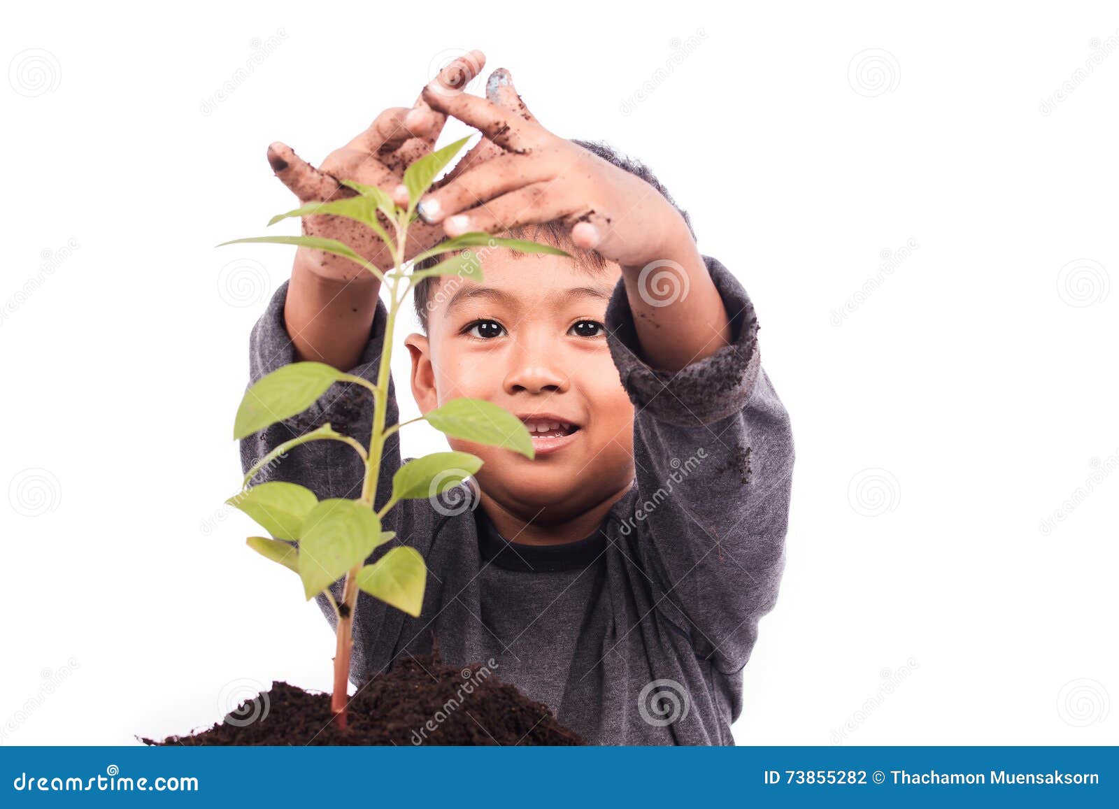 Cute Little Boy Planting Tree Stock Photo - Image of life, beautiful ...