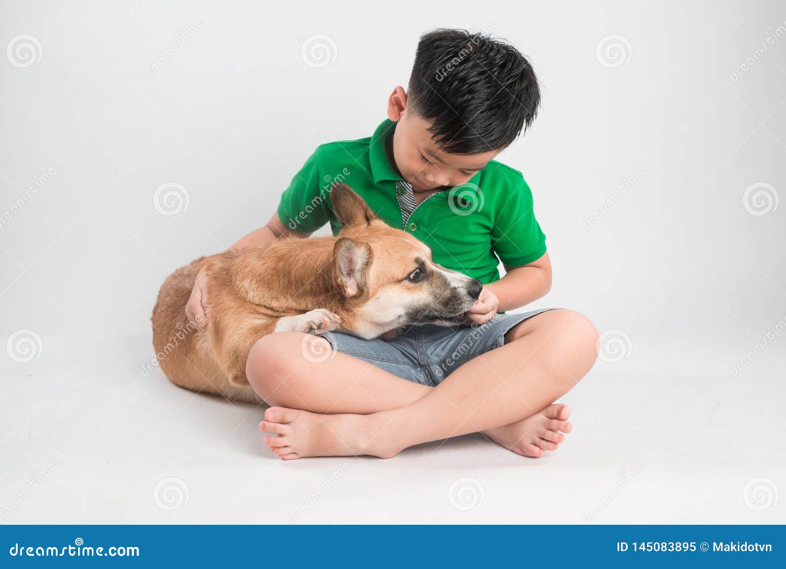 Cute Little Boy Playing with Dog at Home Stock Image - Image of chinese ...