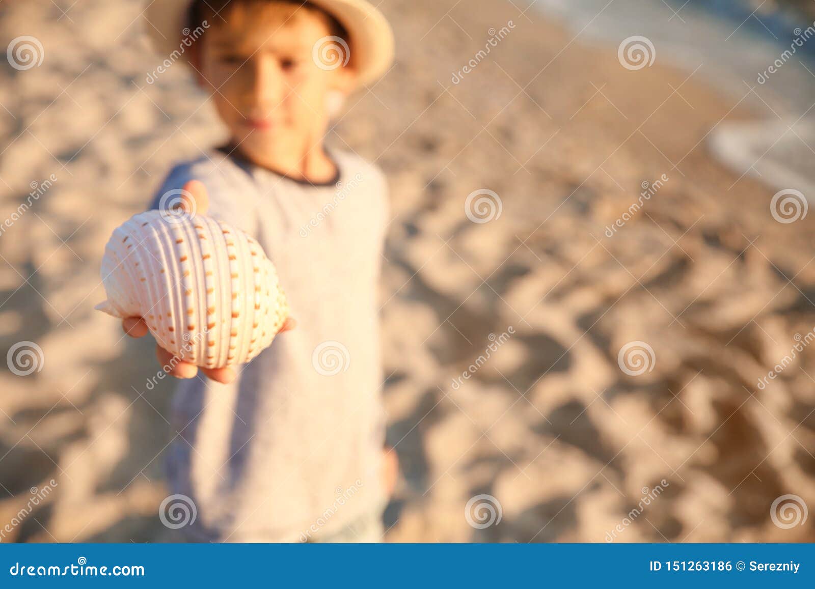 Cute Little Boy with Sea Shell on Beach Stock Photo - Image of child ...