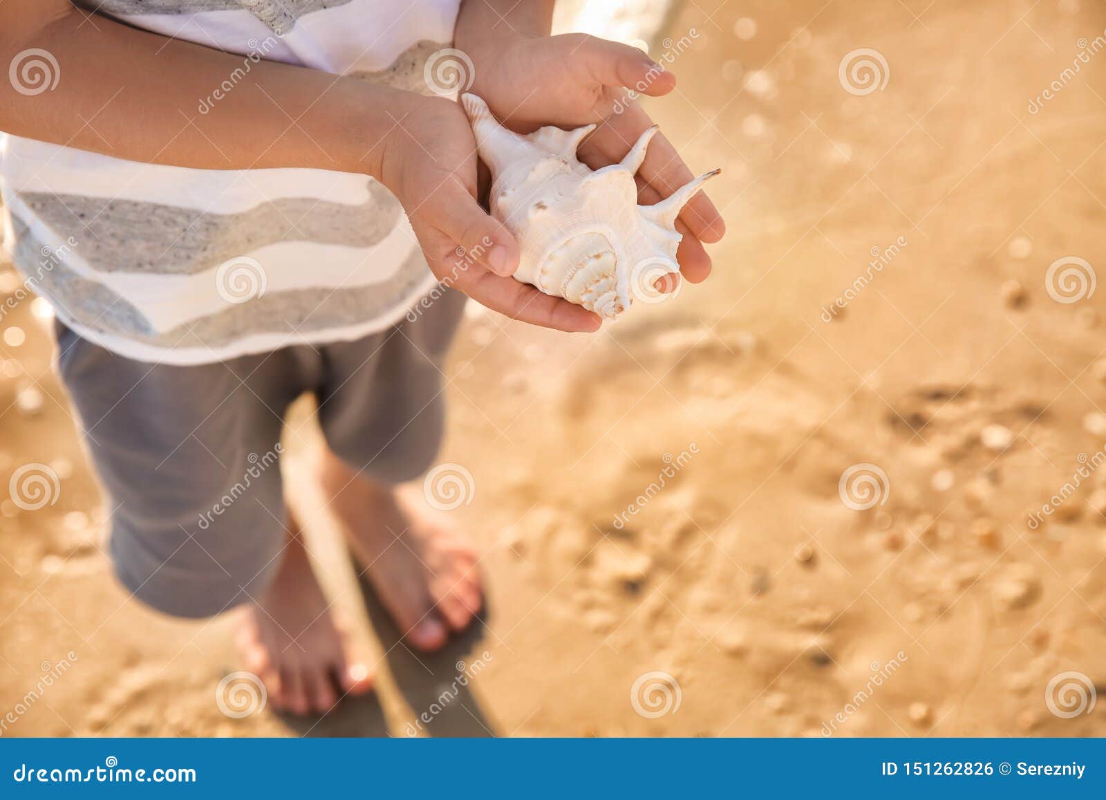 Cute Little Boy with Sea Shell on Beach, Closeup Stock Photo - Image of ...