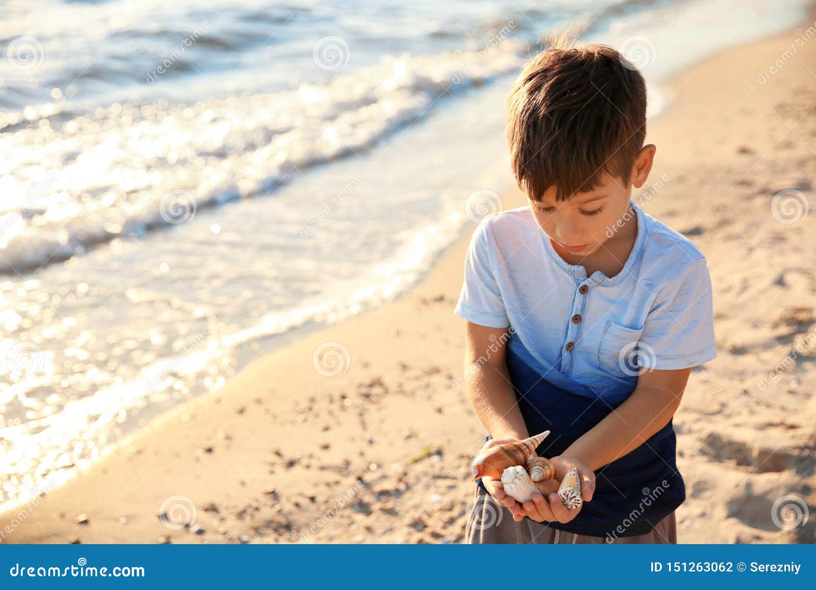 Cute Little Boy with Sea Shells on Beach Stock Photo - Image of nature ...