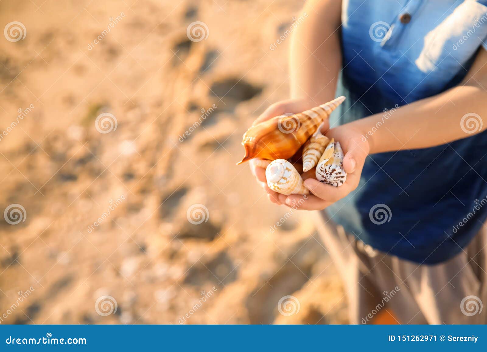 Cute Little Boy with Sea Shells on Beach, Closeup Stock Image - Image ...