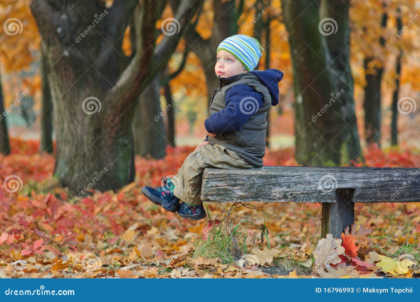 Cute Little Boy Sitting on a Bench Stock Image - Image of season ...