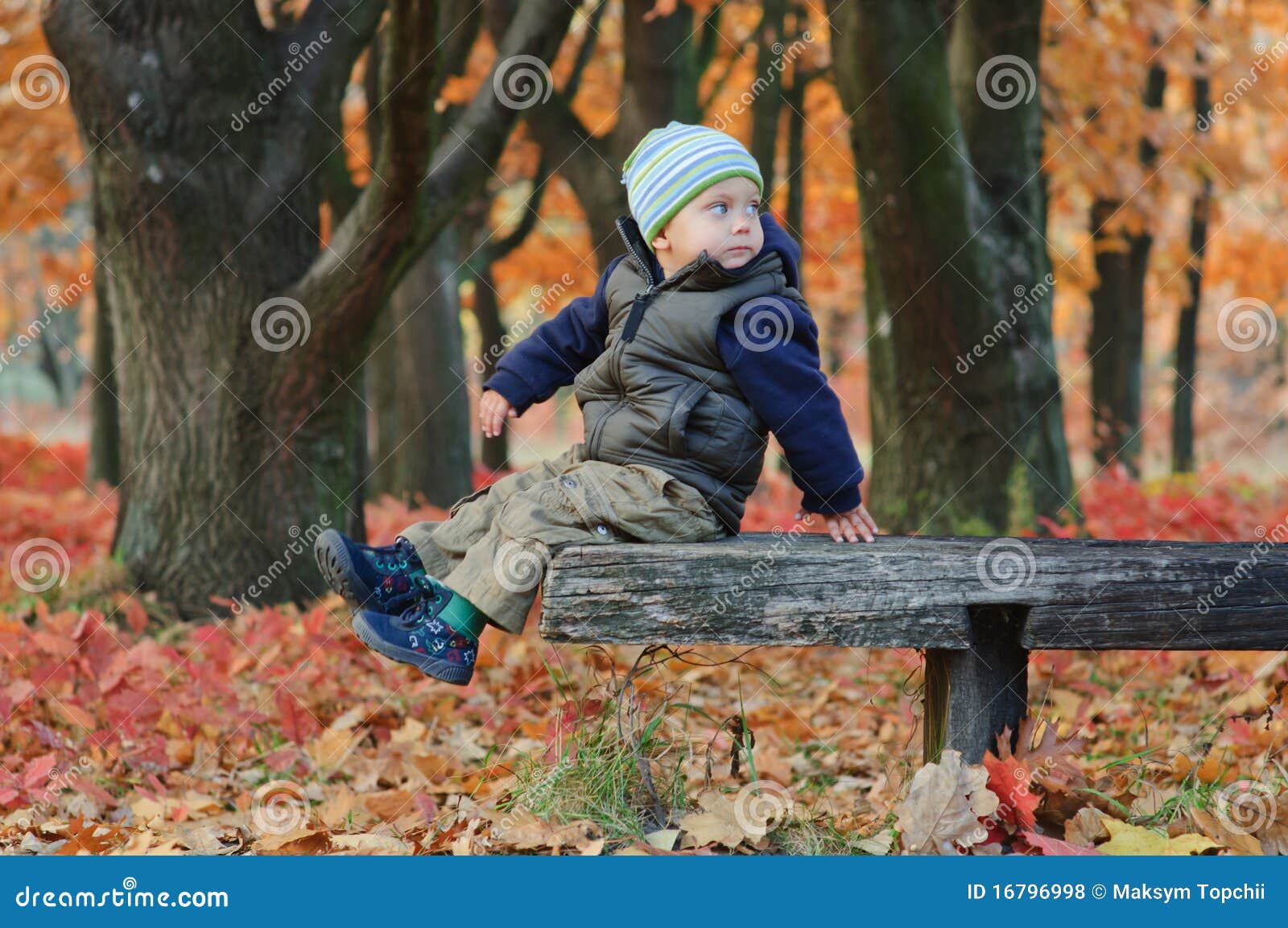 Cute Little Boy Sitting on a Bench Stock Photo - Image of seasonal ...
