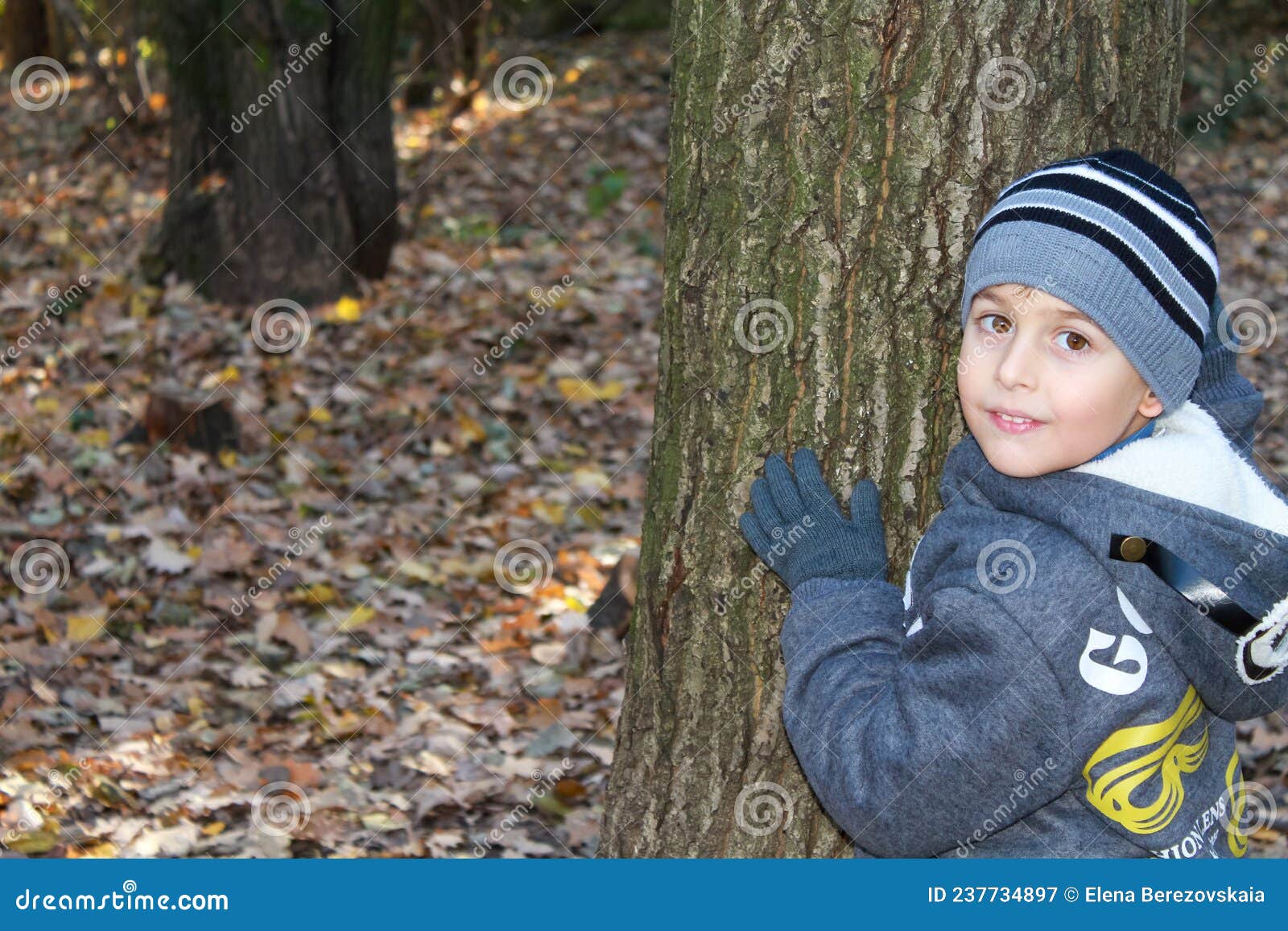 Cute Little Boy Standing Near the Tree in Autumn Forest Stock Image ...