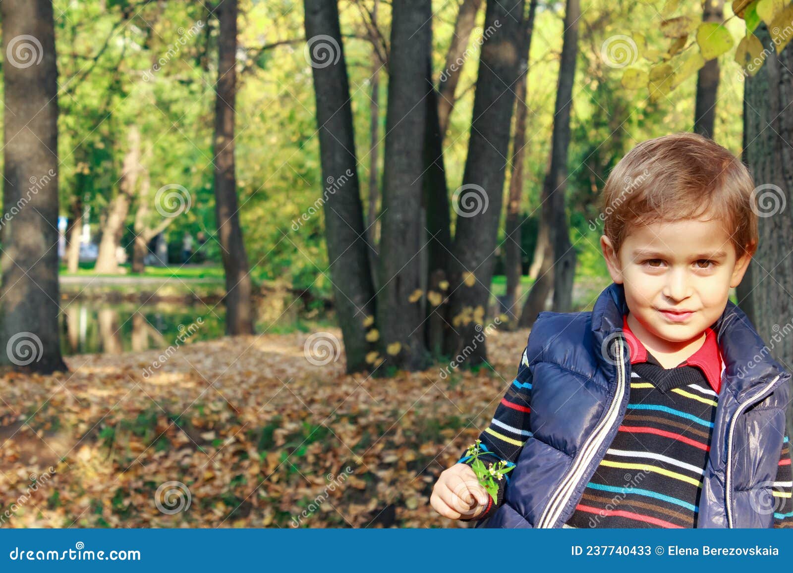 Cute Little Boy Standing Near the Tree in Autumn Forest Stock Image ...
