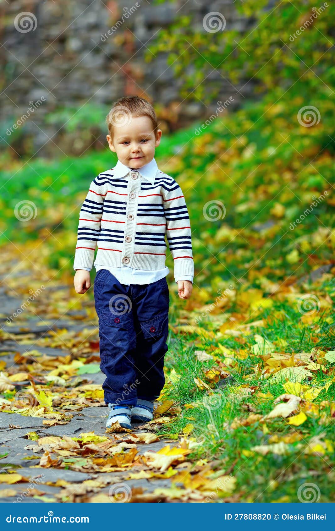 Cute Little Boy Walking in Autumn Park Stock Photo - Image of outdoors ...