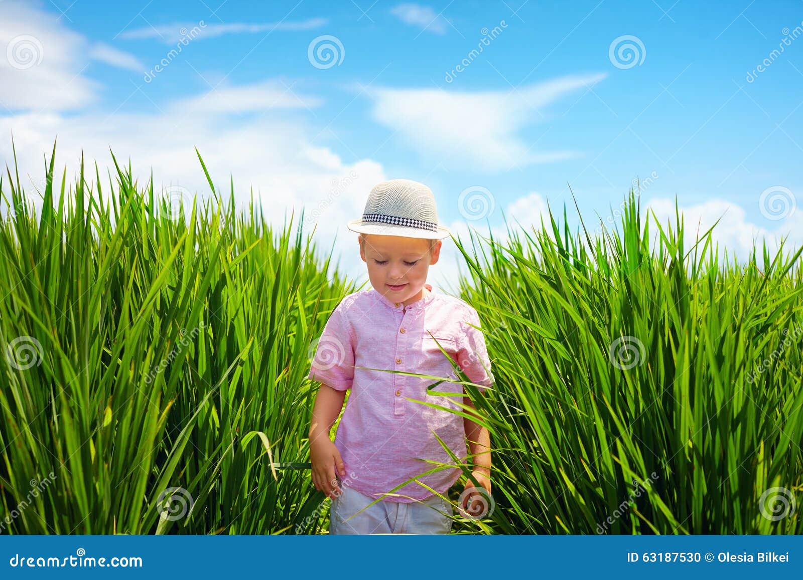 Cute Little Boy Walking through the Rice Field Stock Photo - Image of ...