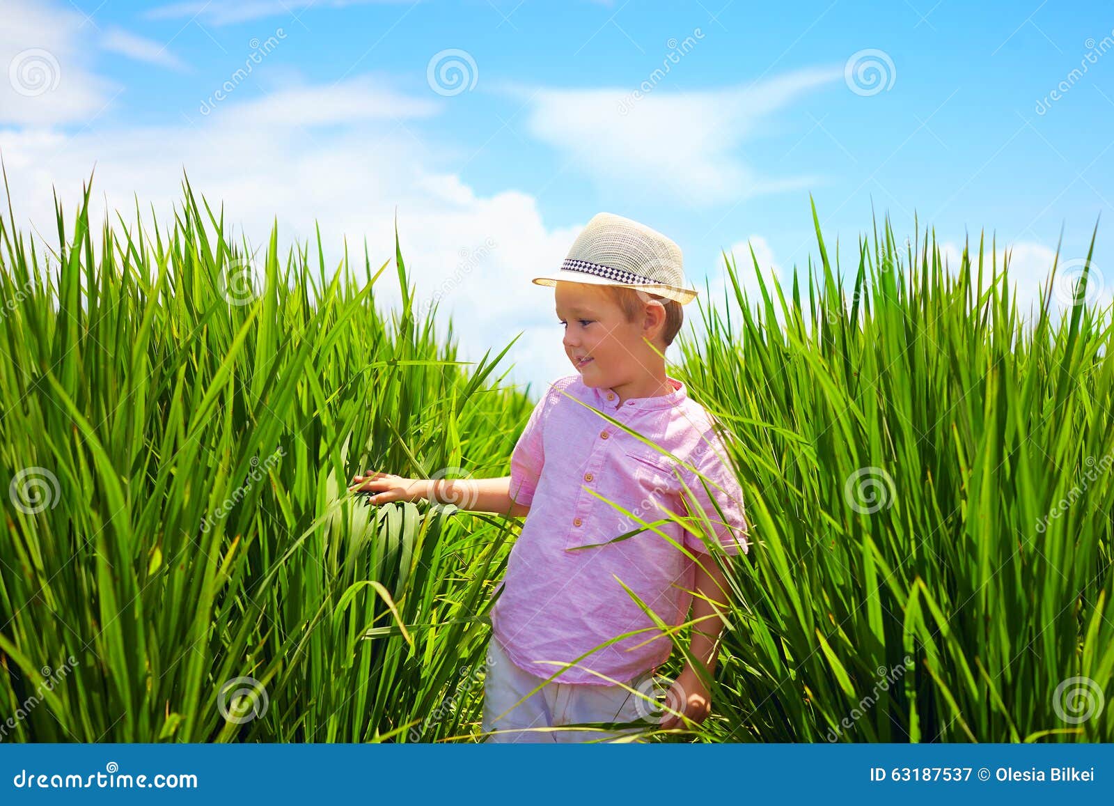 Cute Little Boy Walking through the Rice Field Stock Image - Image of ...