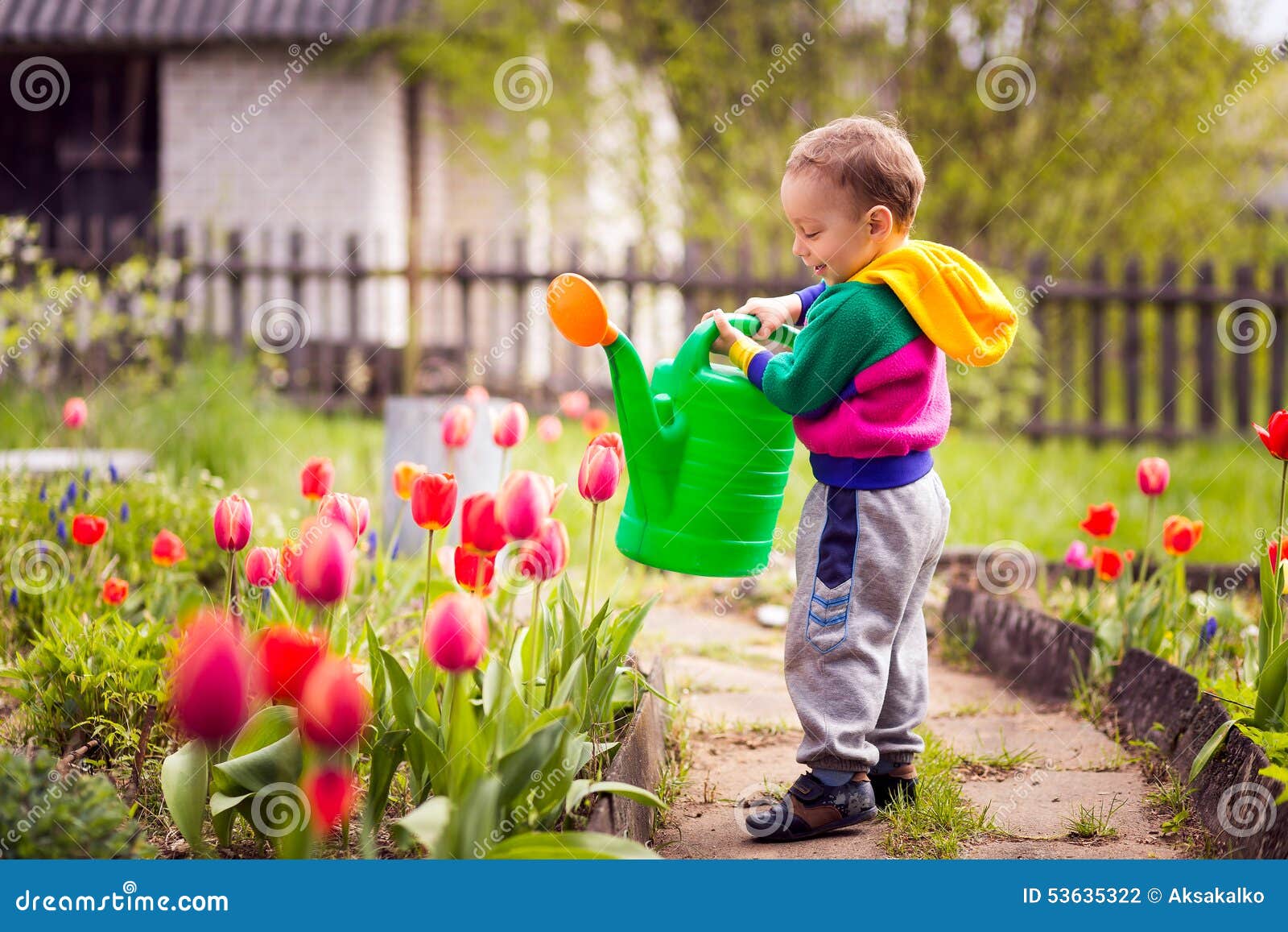 Cute Little Boy Watering Flowers Stock Photo - Image of child, home ...