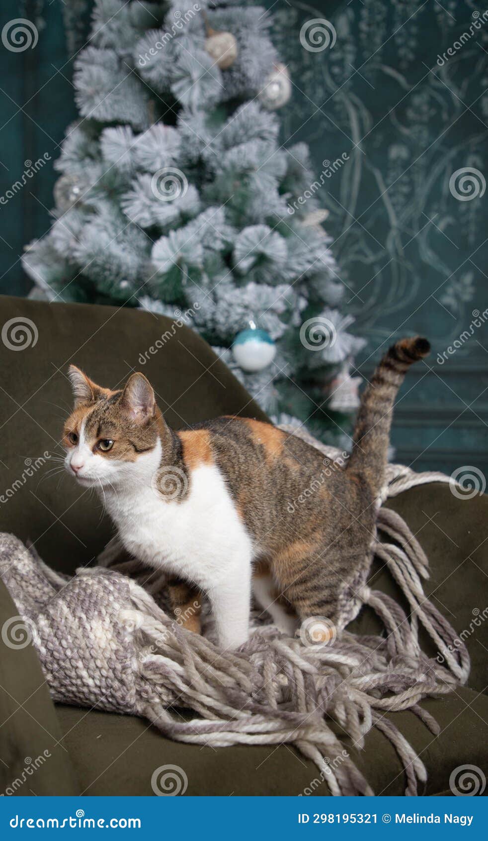 Cute Little Cat Under Christmas Tree Stock Image - Image of year ...