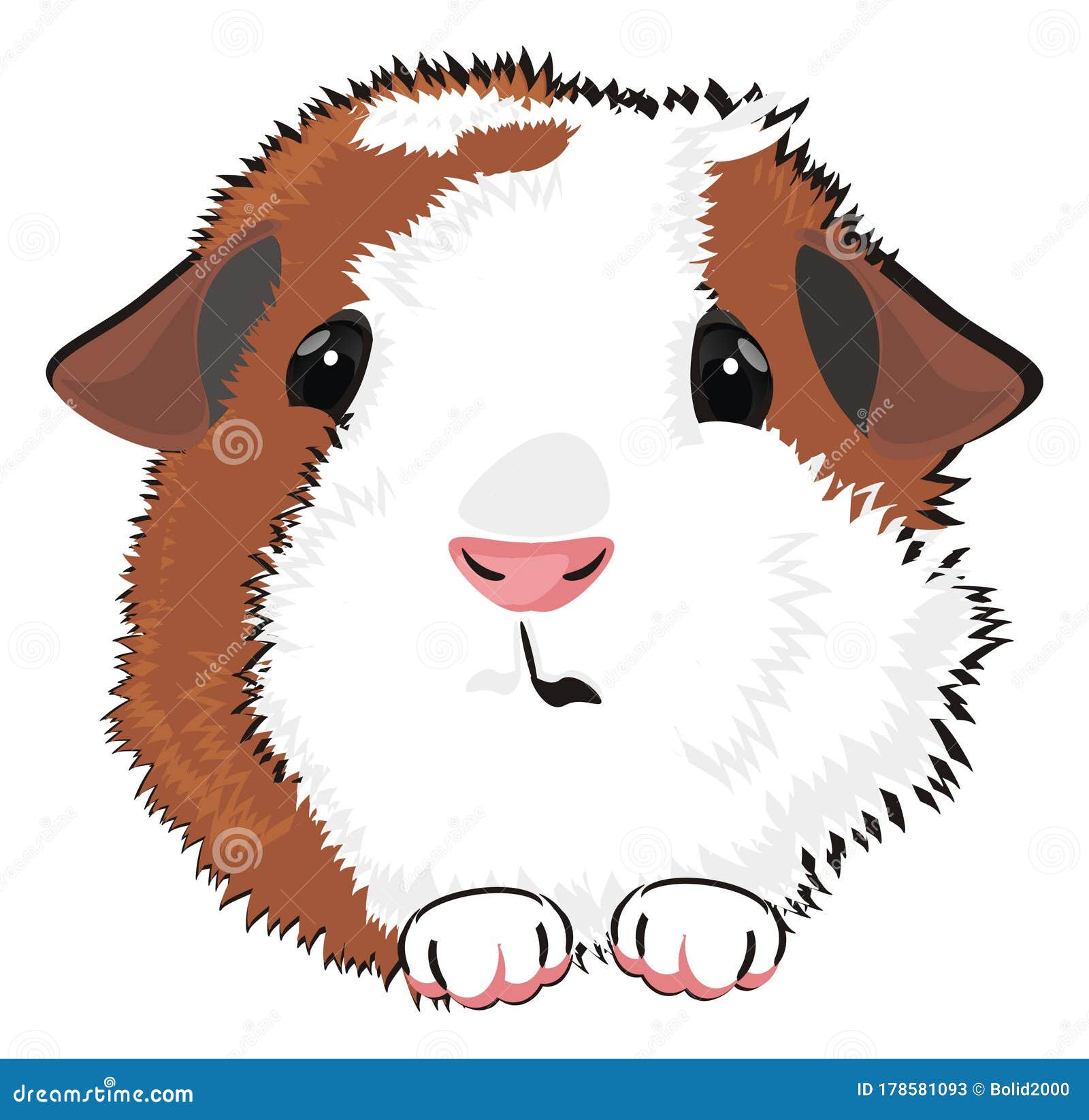 Cute little cavy stock illustration. Illustration of wool - 178581093